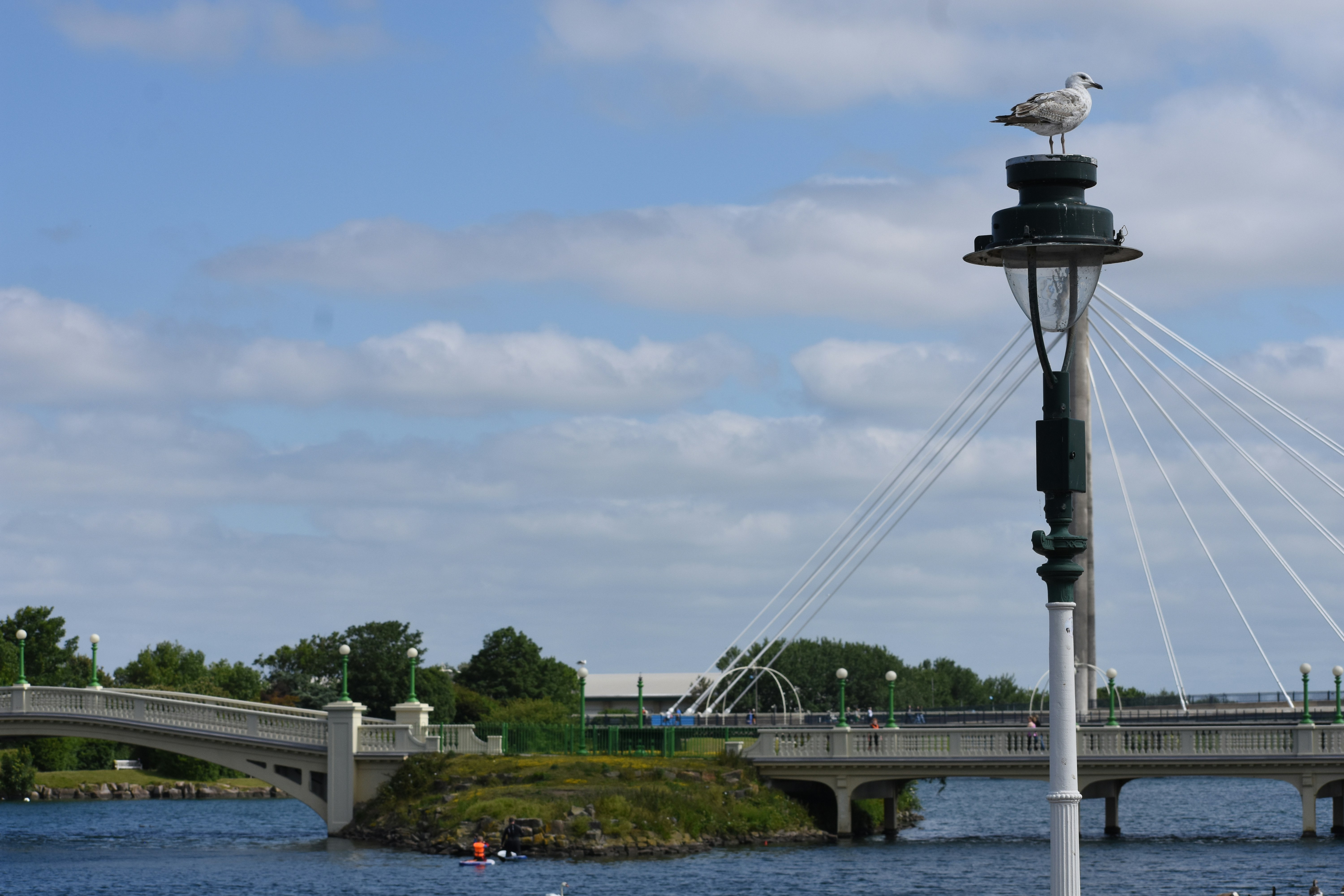 Seagull on a Lantern-Top Post Over a Quiet River Bridge