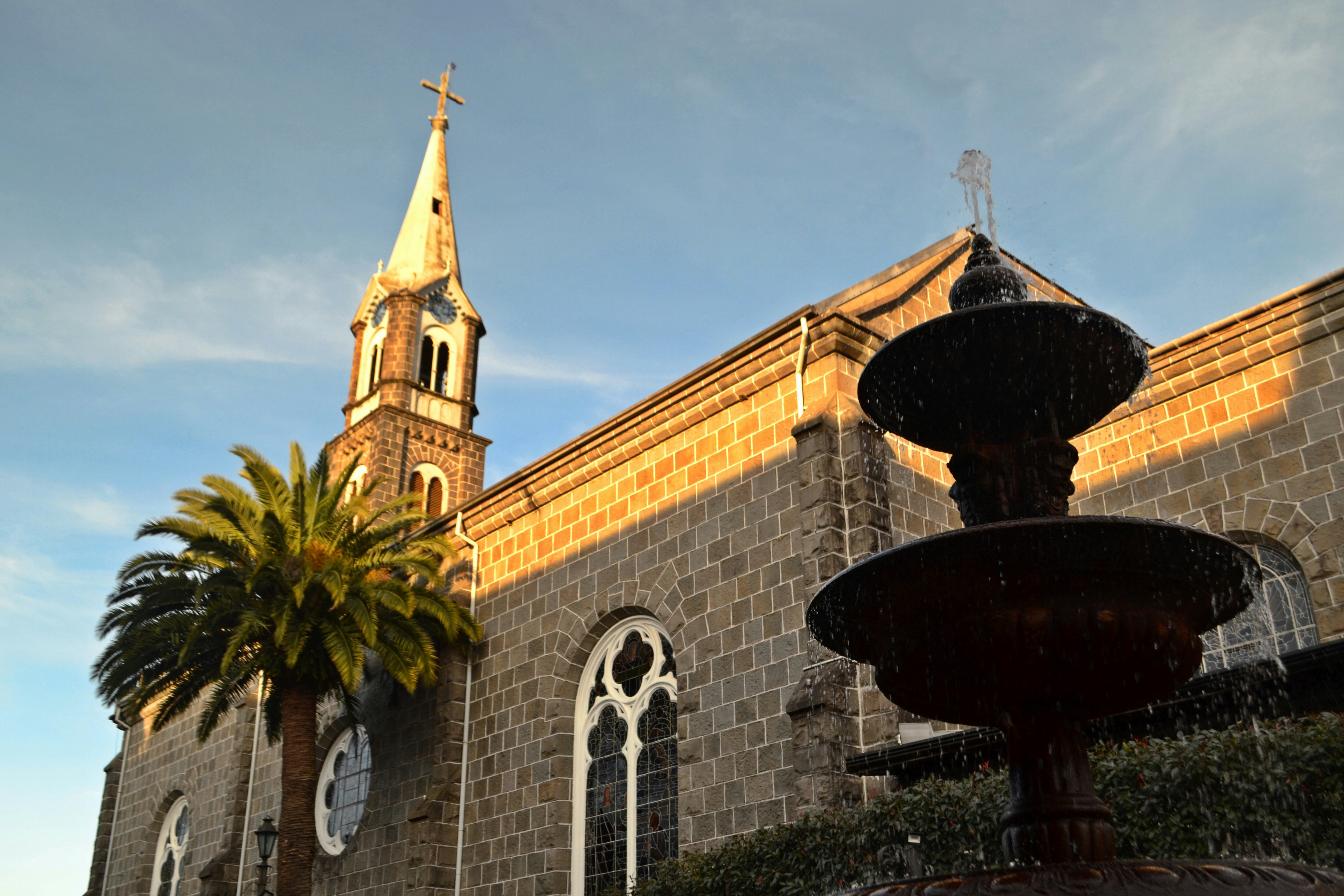 Historic church tower framed by a decorative fountain and palm tree, capturing a serene moment in a picturesque setting.
