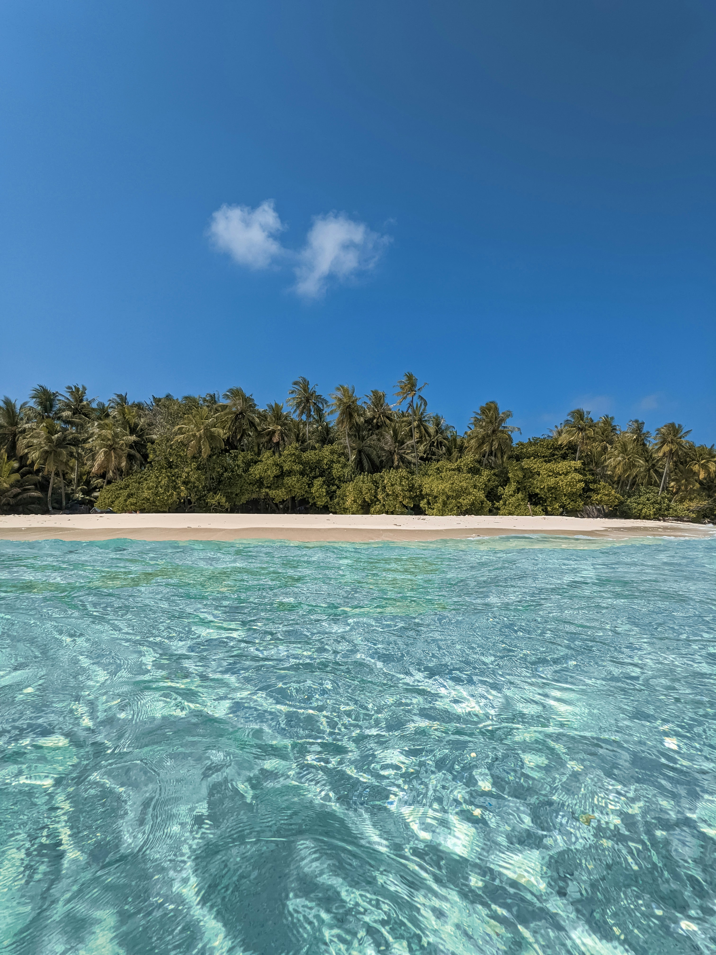 Crystal-clear water meets a lush tropical shoreline under a bright blue sky. The serene beach invites relaxation and exploration.