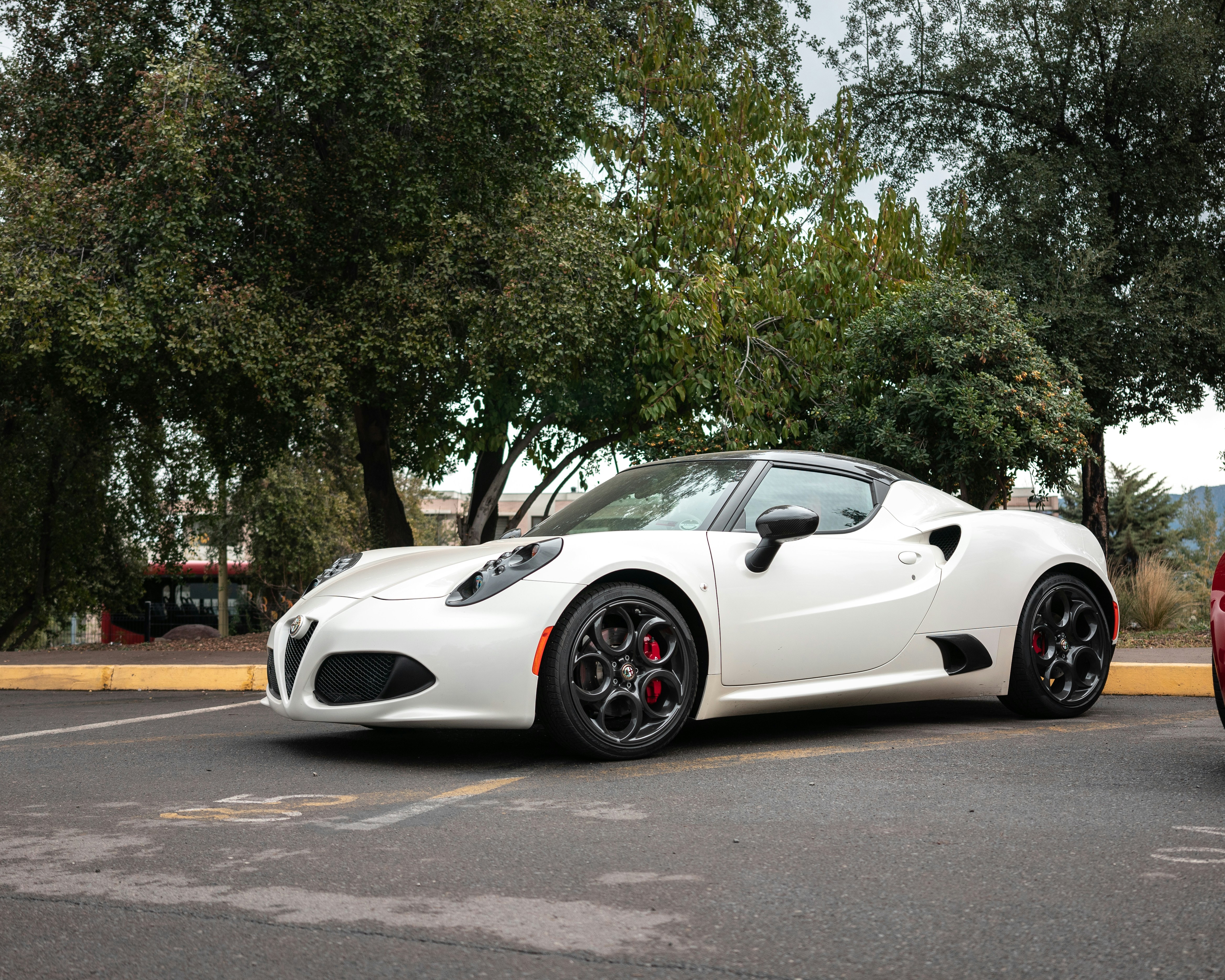 Sleek white Alfa Romeo 4C parked amidst lush greenery, showcasing its aerodynamic design and sporty wheels.