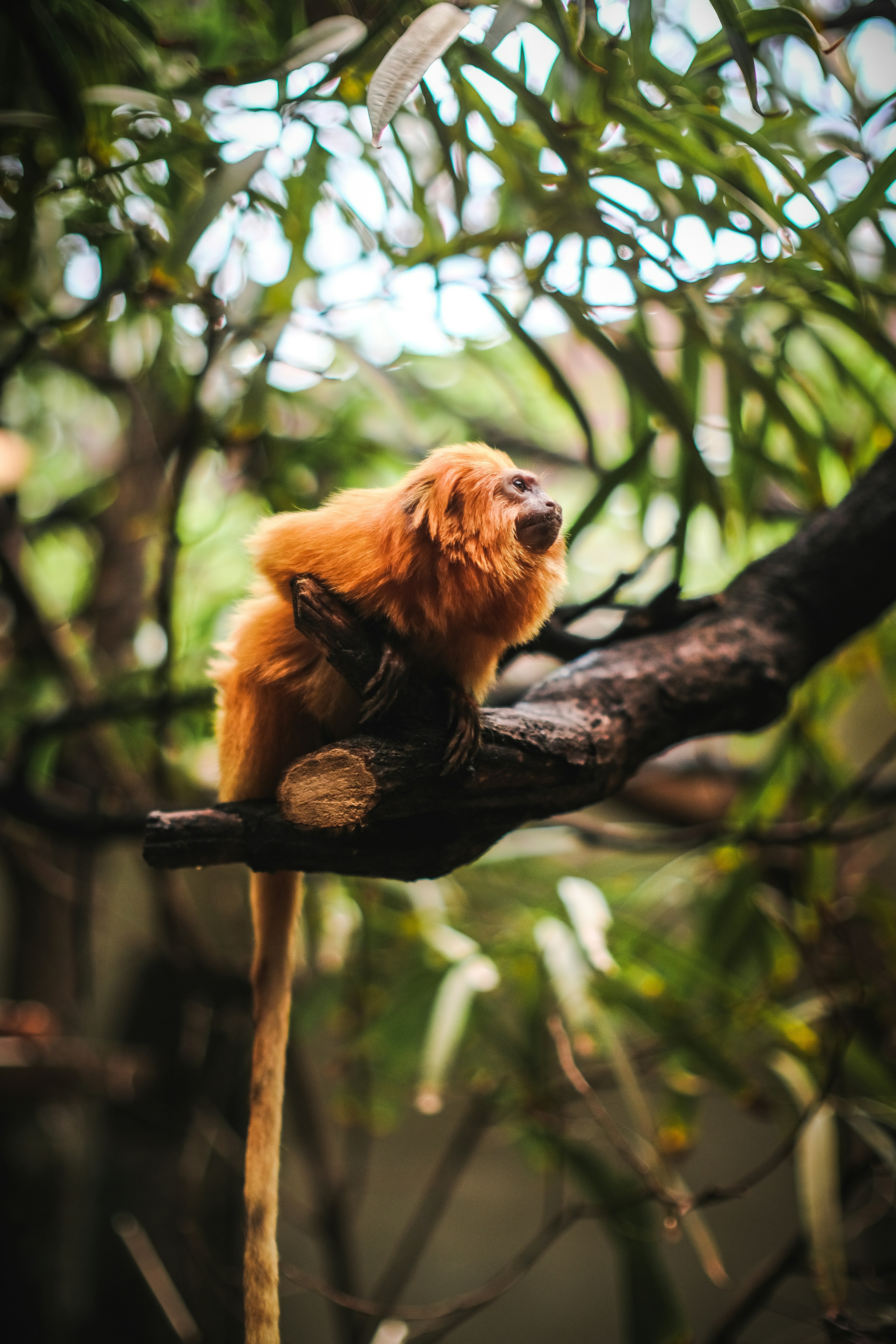 Photo by Yves Cedric Schulze with Fujifilm X-T30