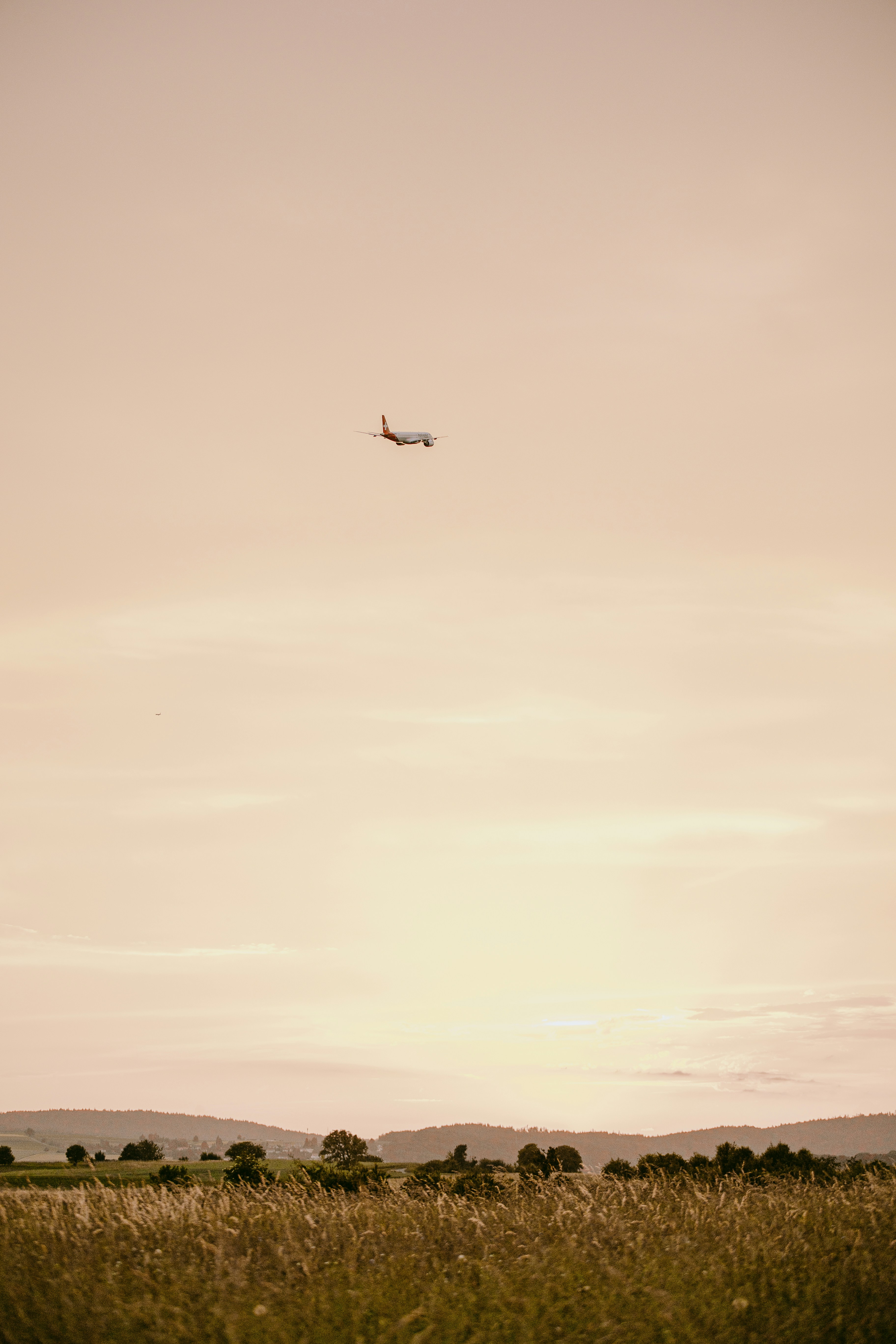 Soaring Dot Above Golden Prairie