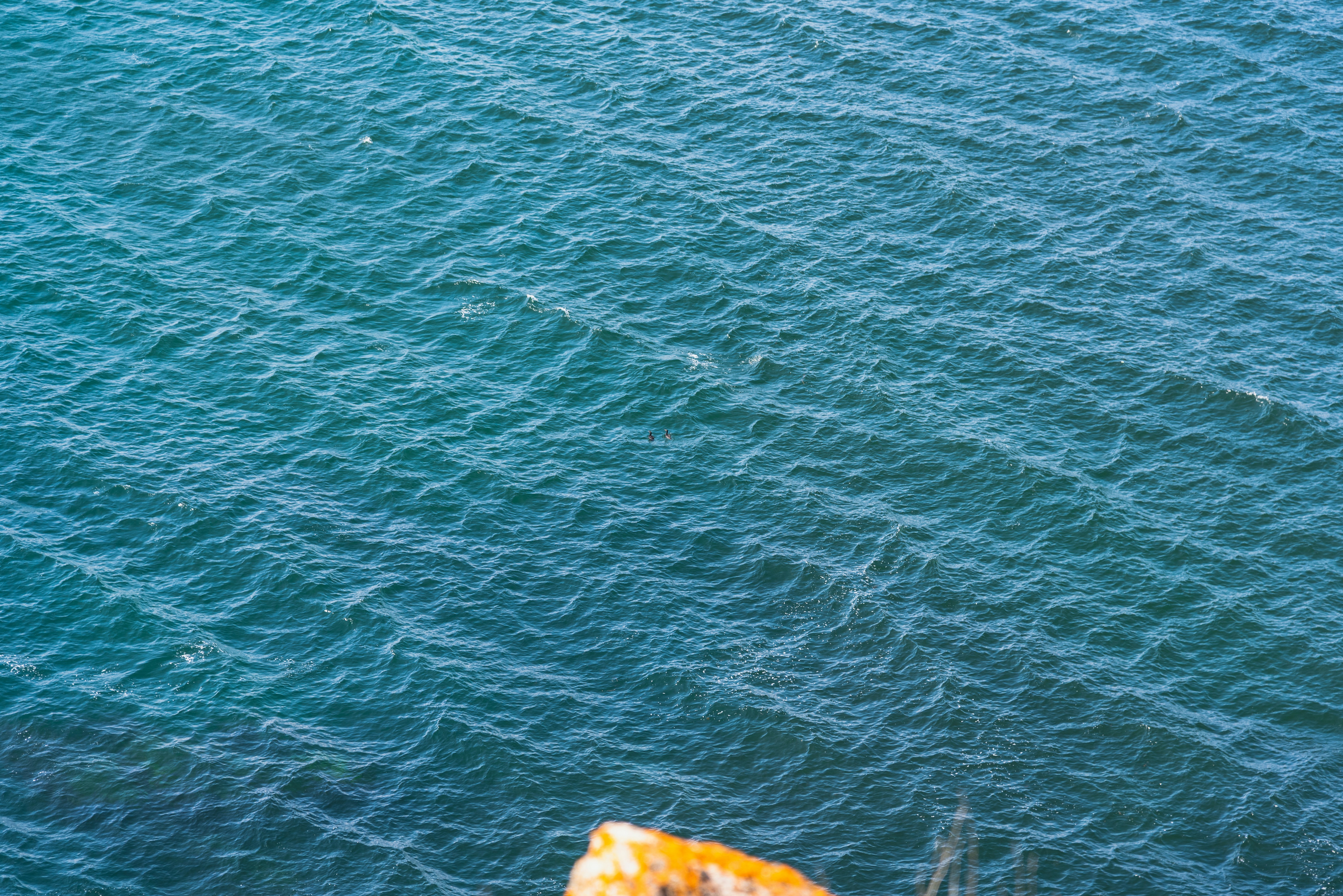 Water ripple texture
