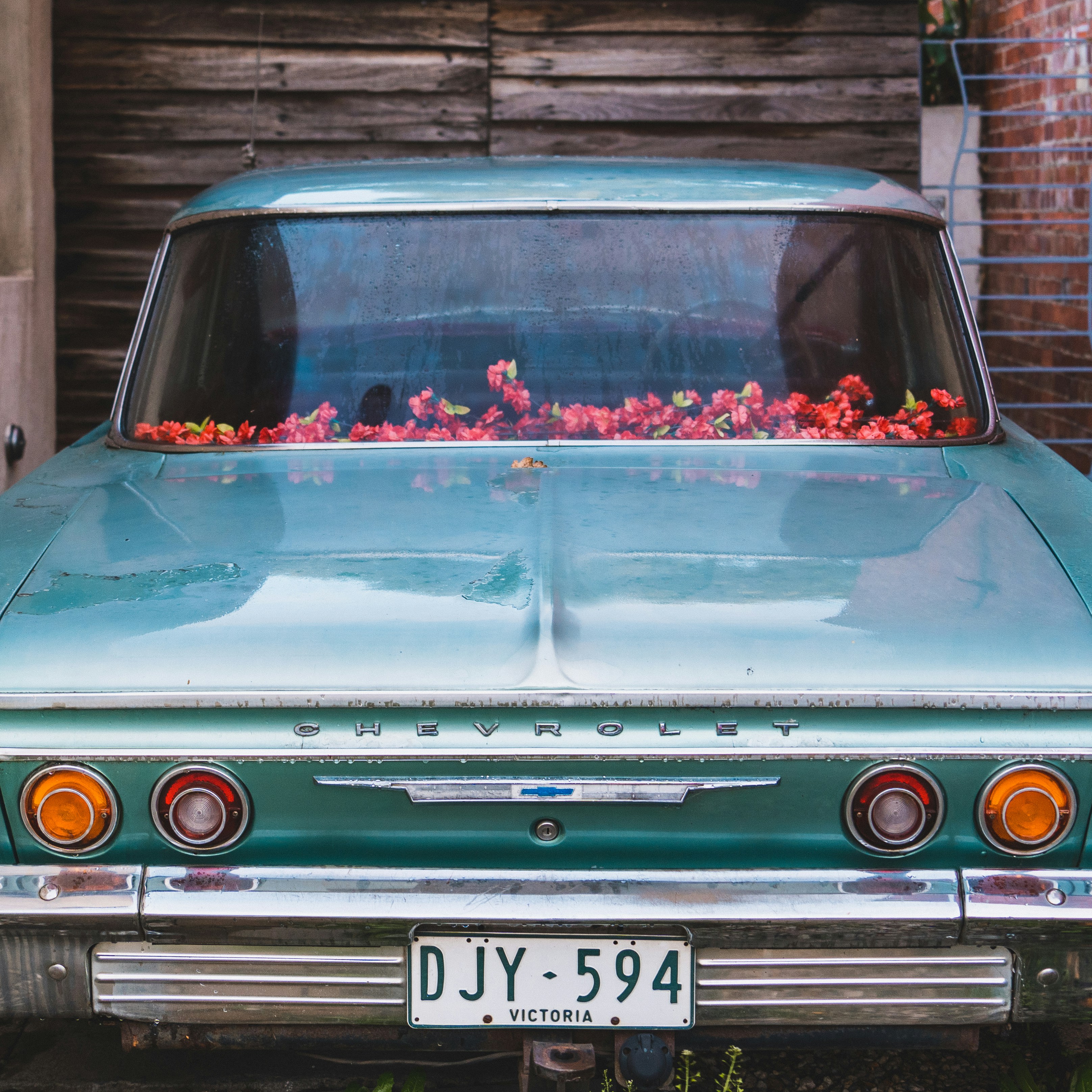 Teal Vintage Chevy with a Window Garden Against Weathered Wood