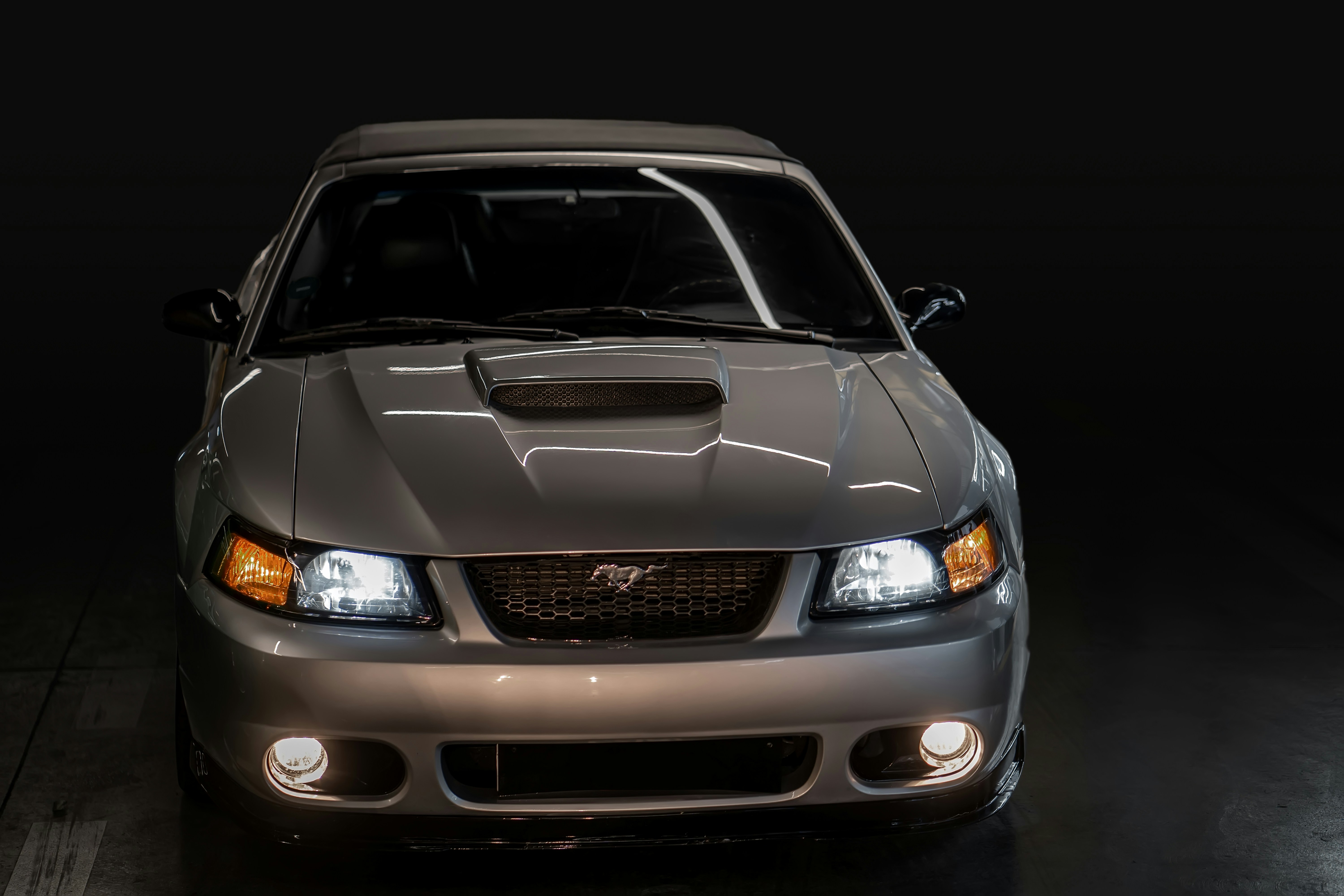 Noir Studio Mustang: Front-Facing Portrait in Steel and Light