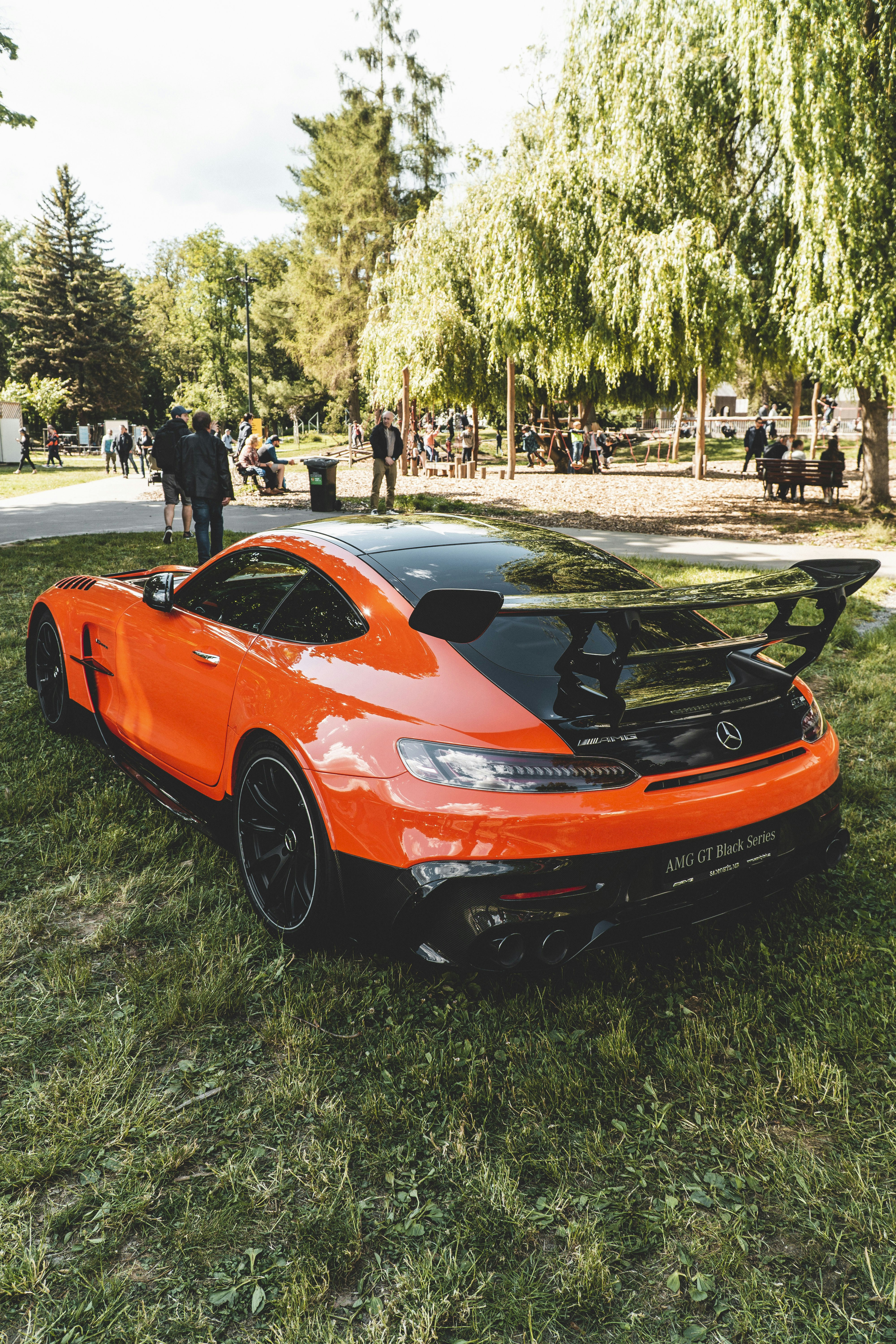 Parkside Inferno: AMG GT Black Series Revs in the Afternoon Light
