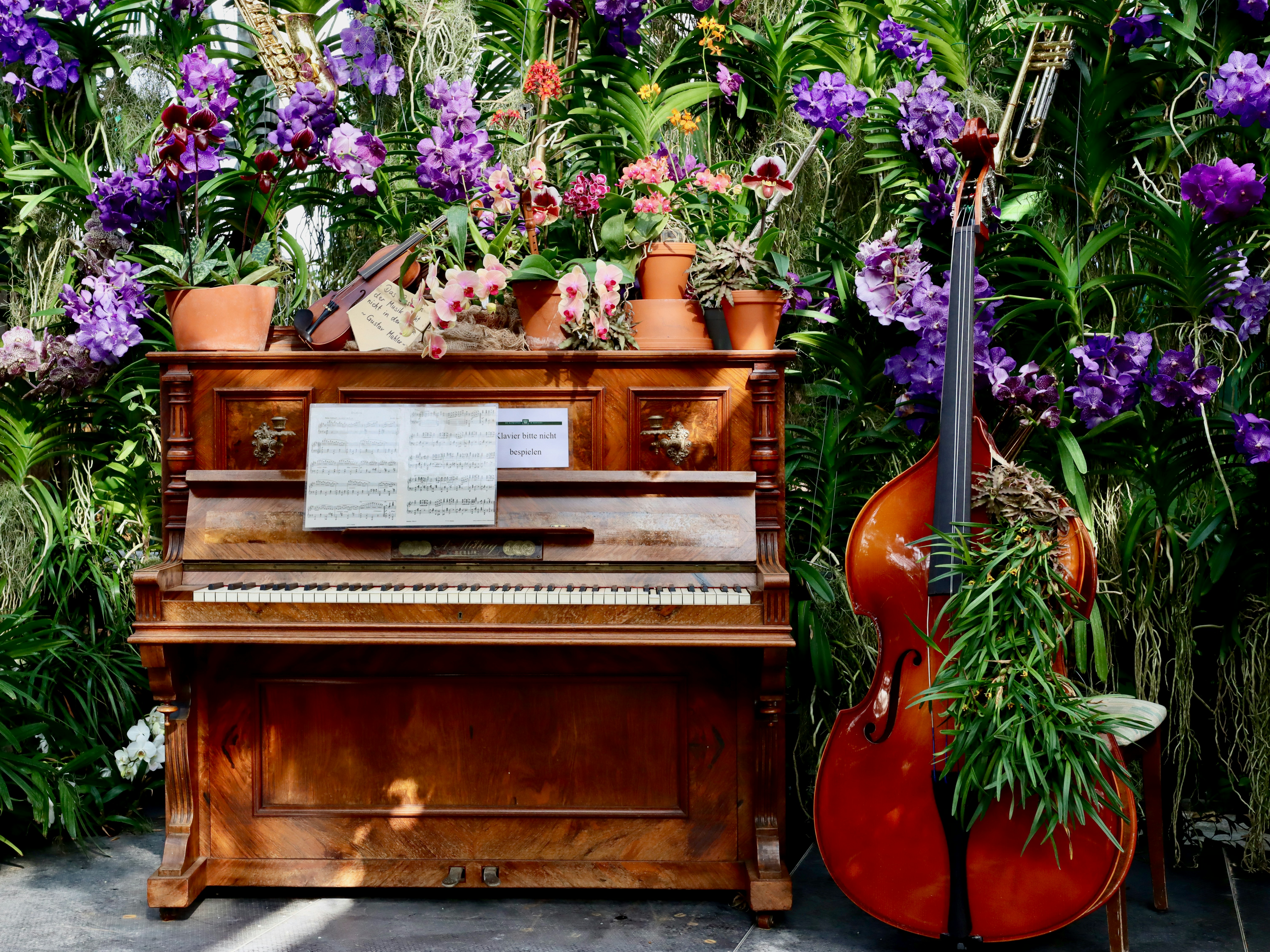 Floral Sonata: An Upright Piano Framed by a Garden of Blooms and a Cello