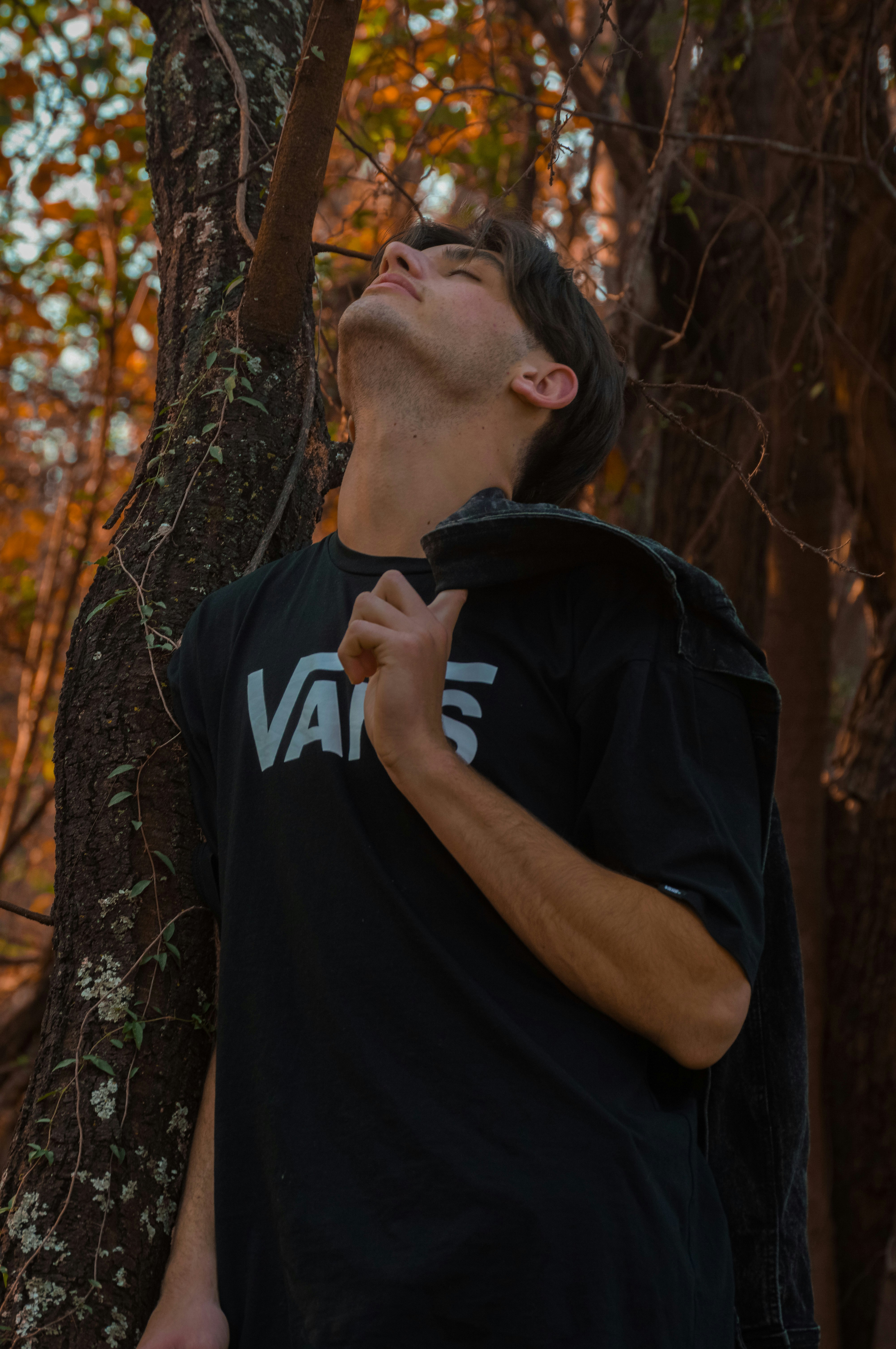 Breath Between Trees: A Quiet Gaze Toward the Canopy