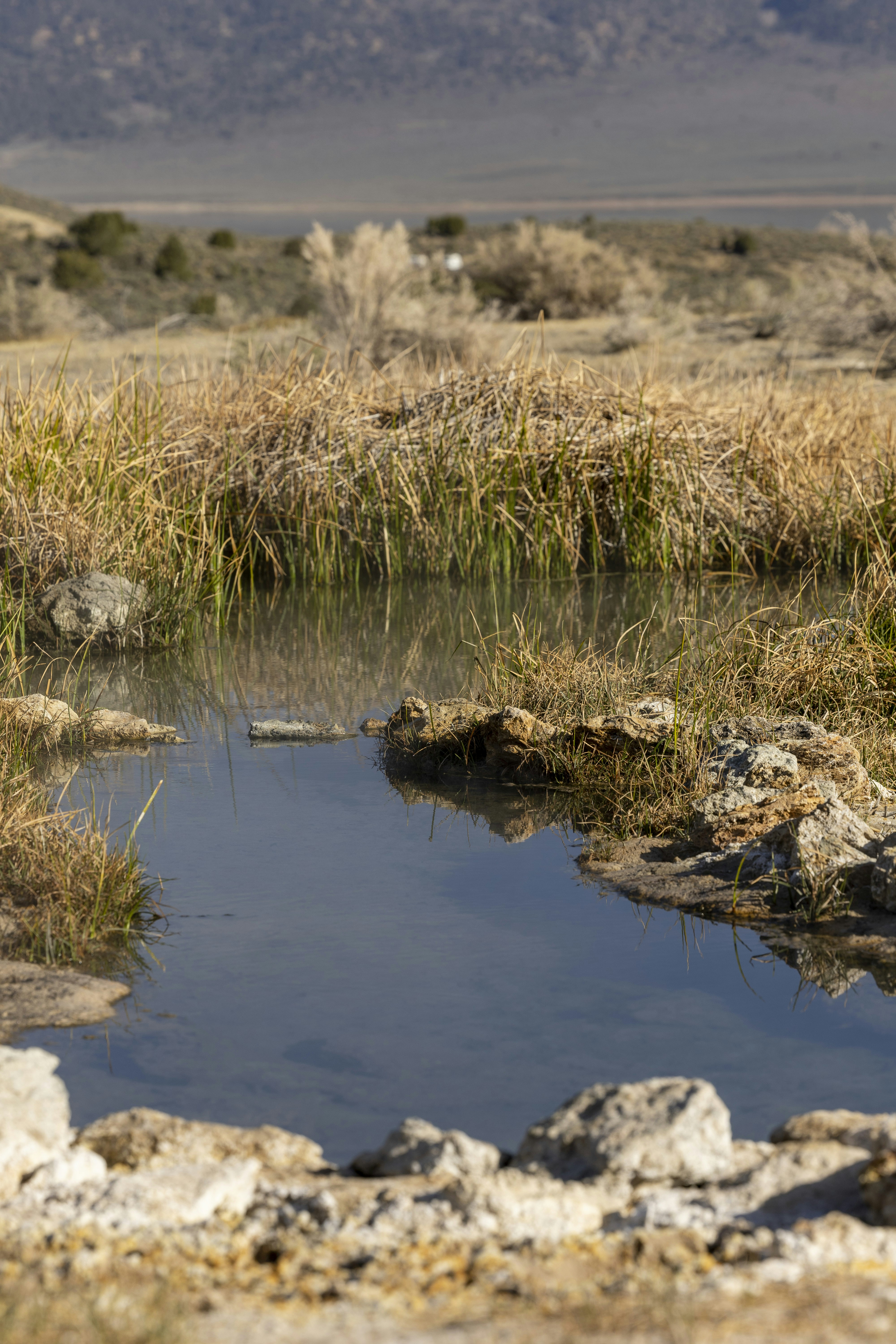 A small pond surrounded by rocks and grass photo – Free Green Image on ...