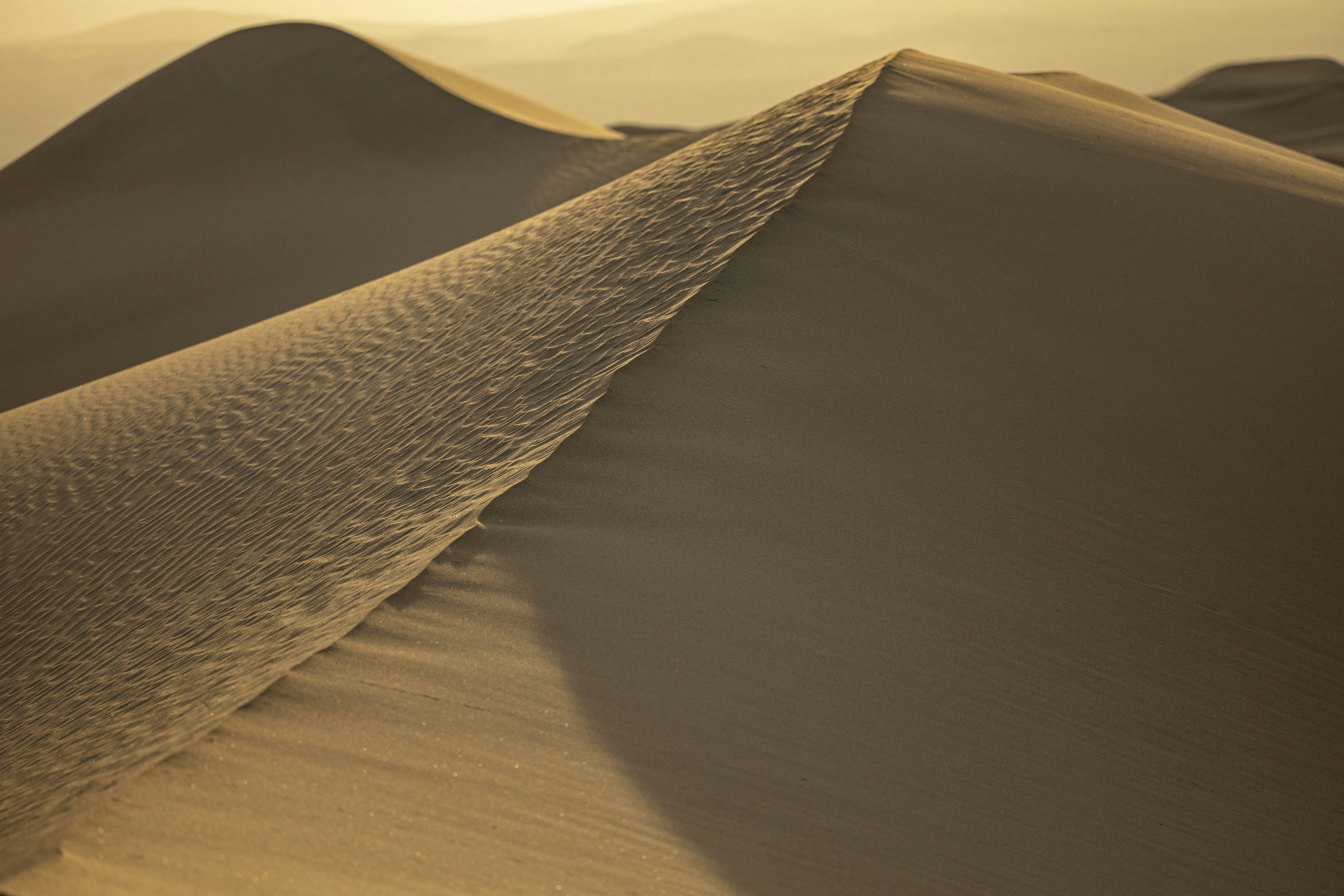 Photo by Leo_Visions with Canon EOS R3