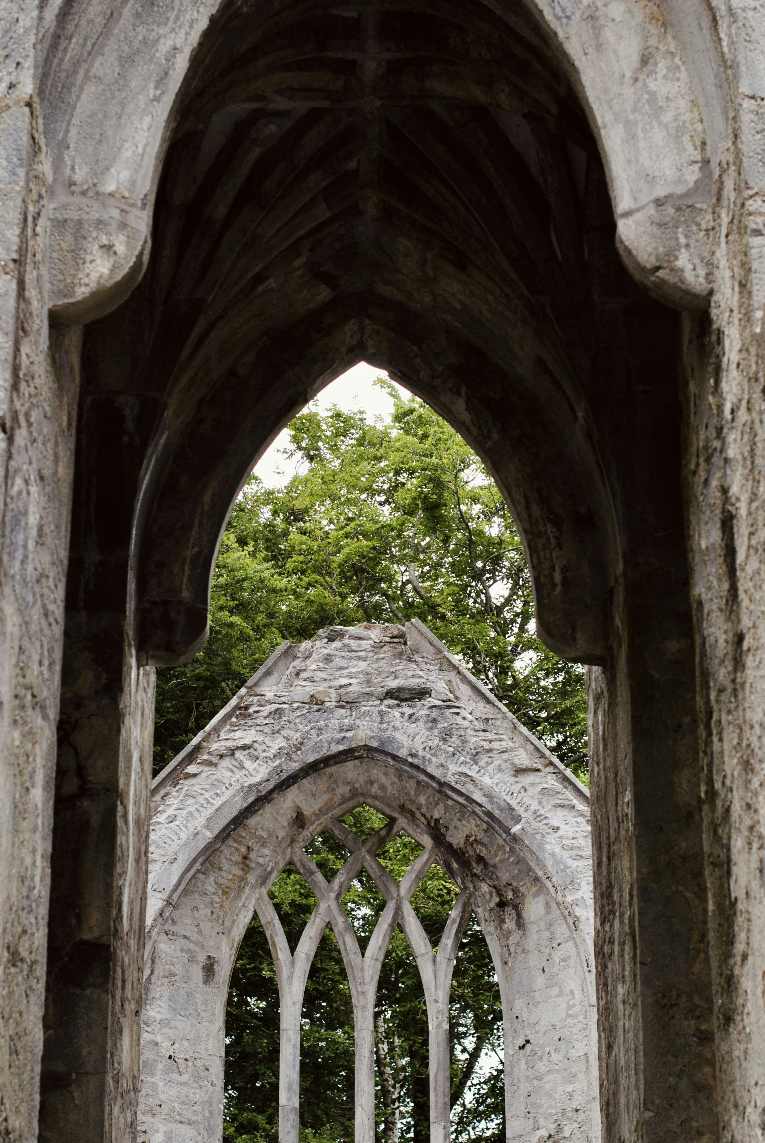 Gothic archway framed by lush greenery, showcasing intricate stonework and a glimpse into history. A serene atmosphere permeates the scene.