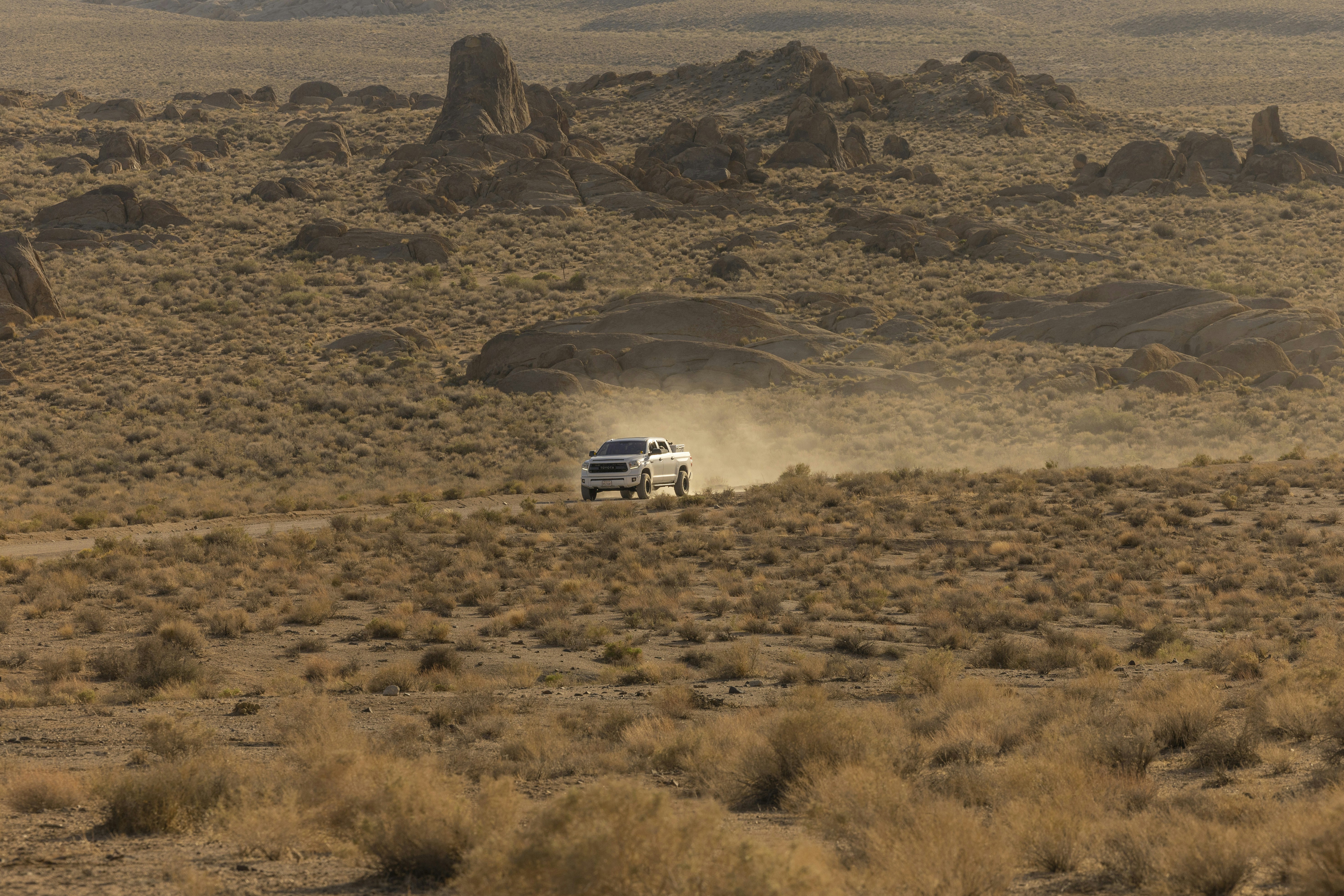 Photo by Leo_Visions with Canon EOS R3