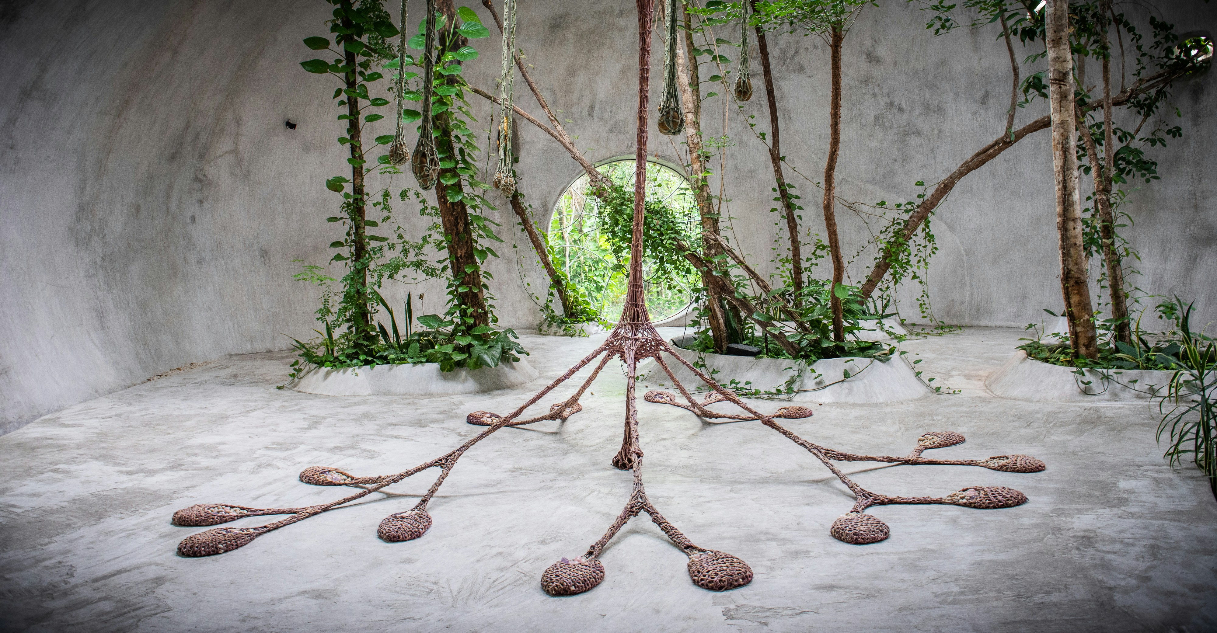 Converging root spokes frame a mossy archway in a pale courtyard