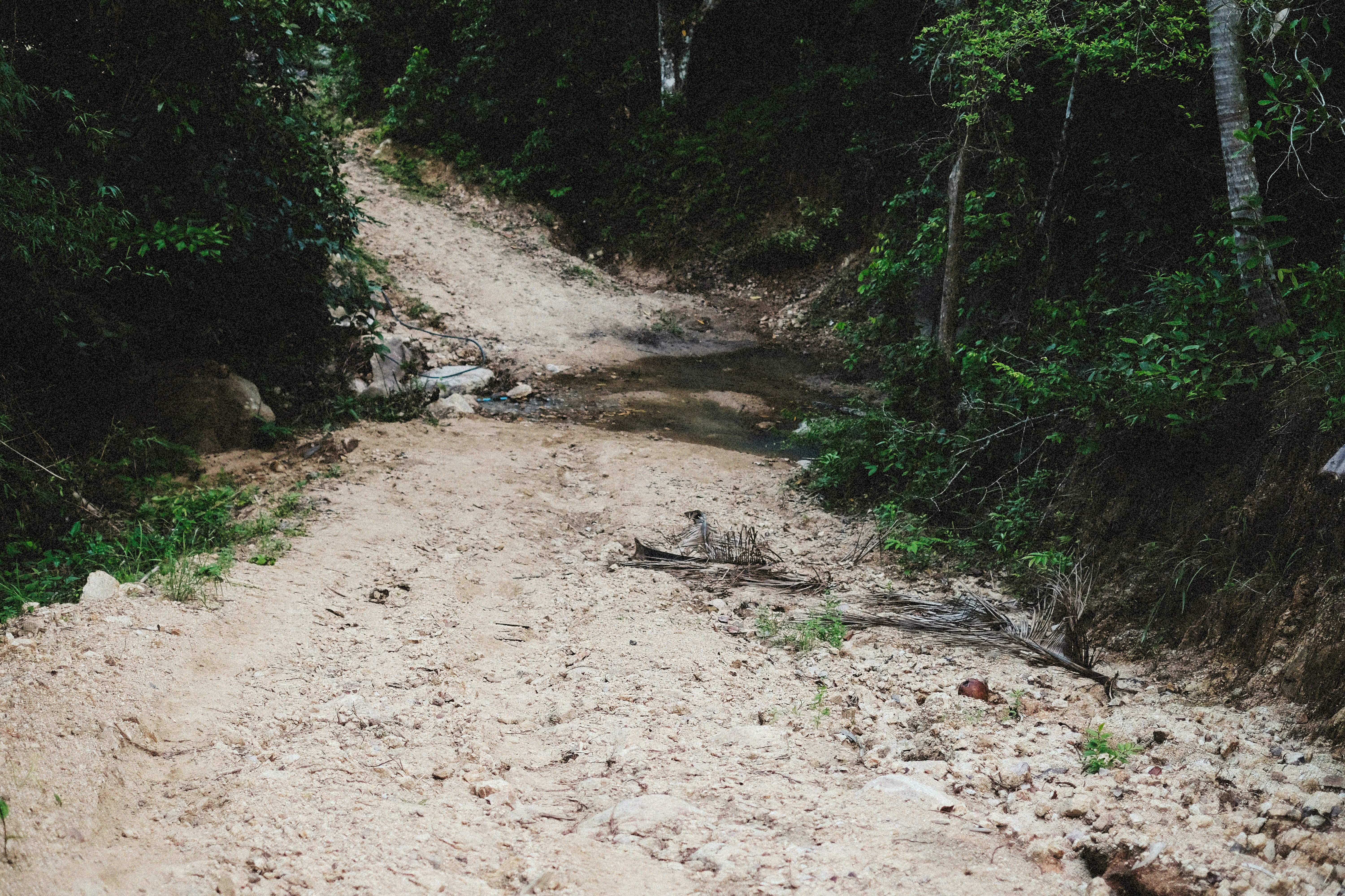 Photo by Alexey Demidov with Fujifilm X-E3