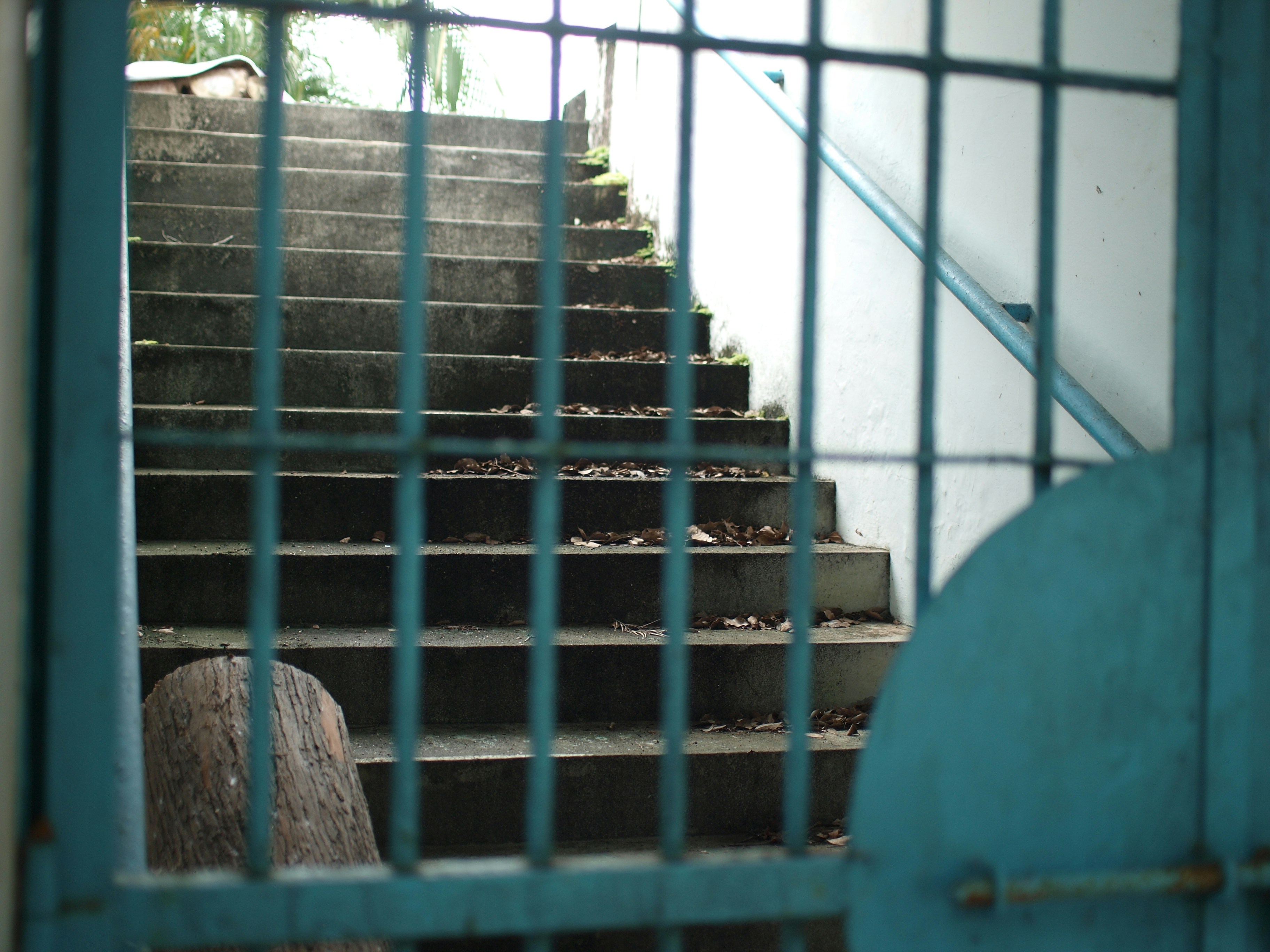 Photo by MChe Lee with Olympus E-3