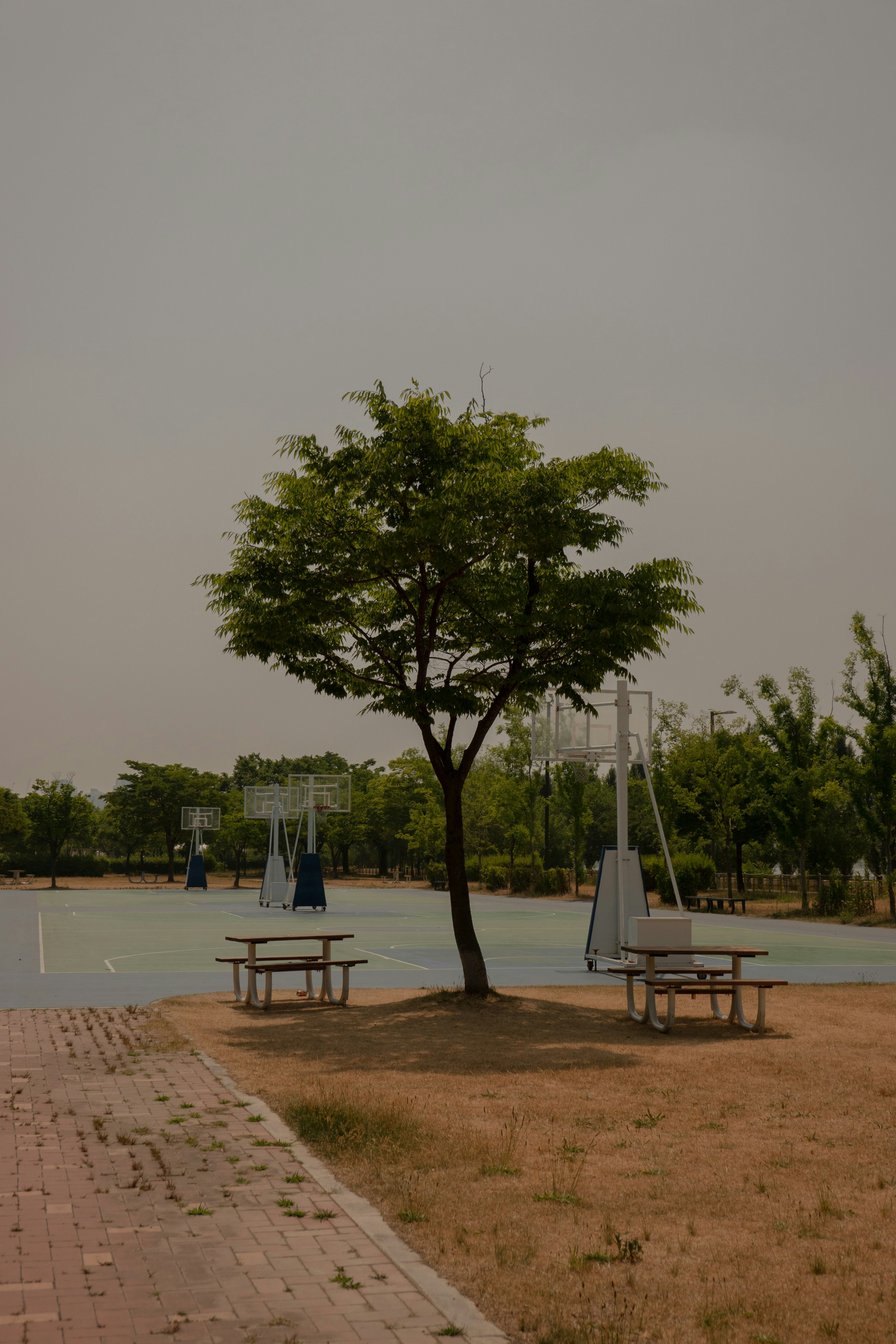 Photo by Jason Oh with Sony Cyber-shot RX100 VI