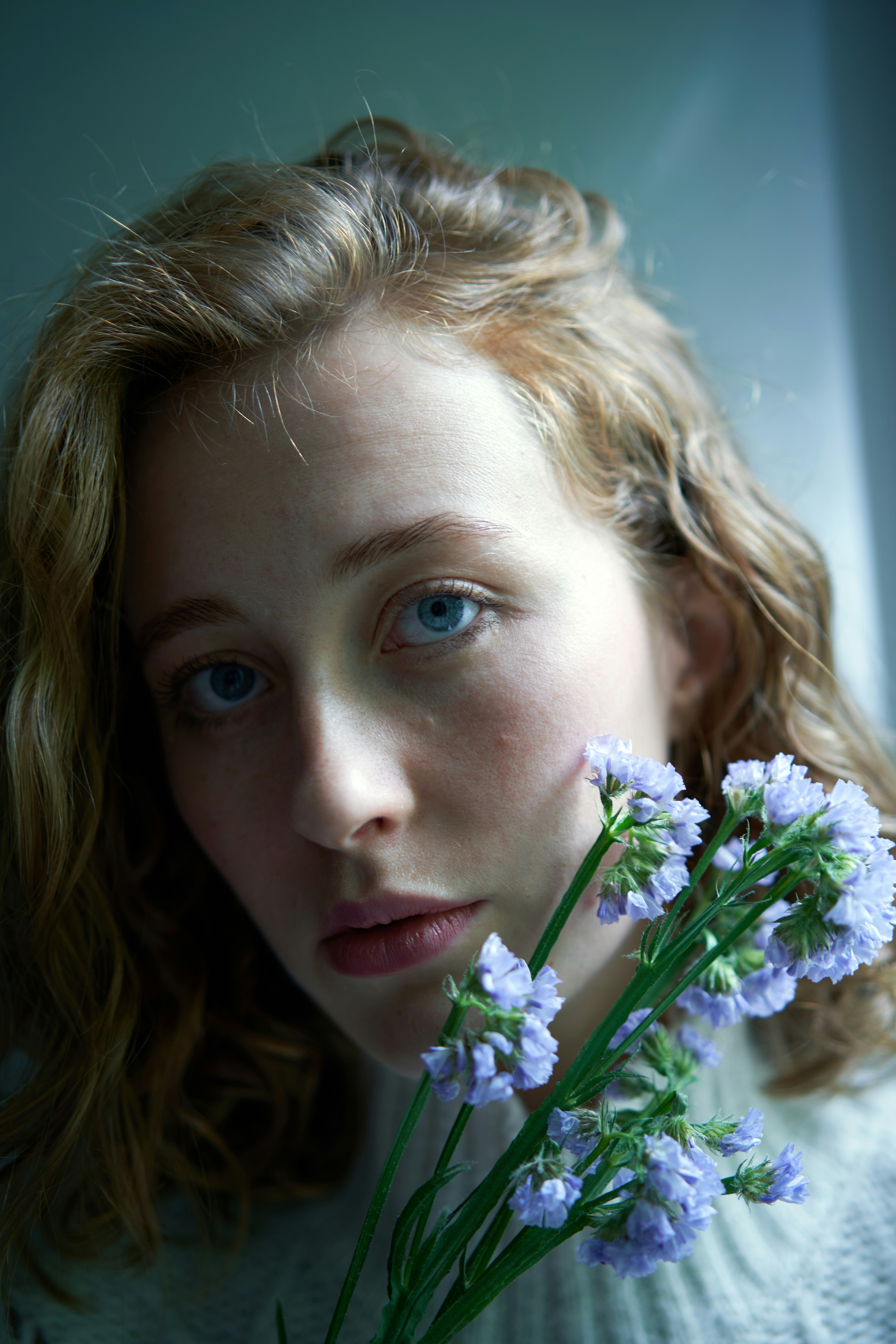 Face Reference | 8 best free face, human, girl and portrait photos on ...