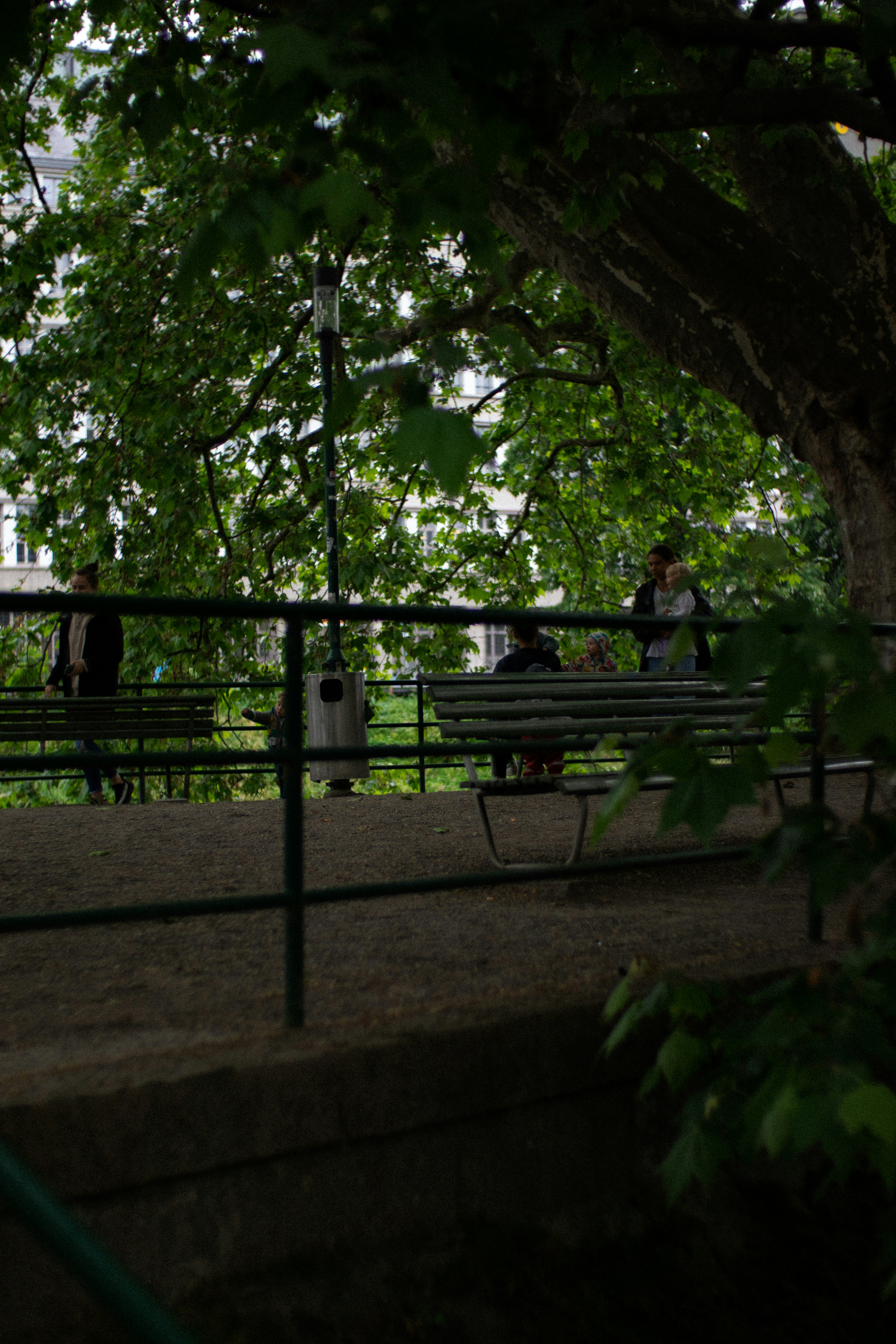 a couple of people sitting on a bench under a tree