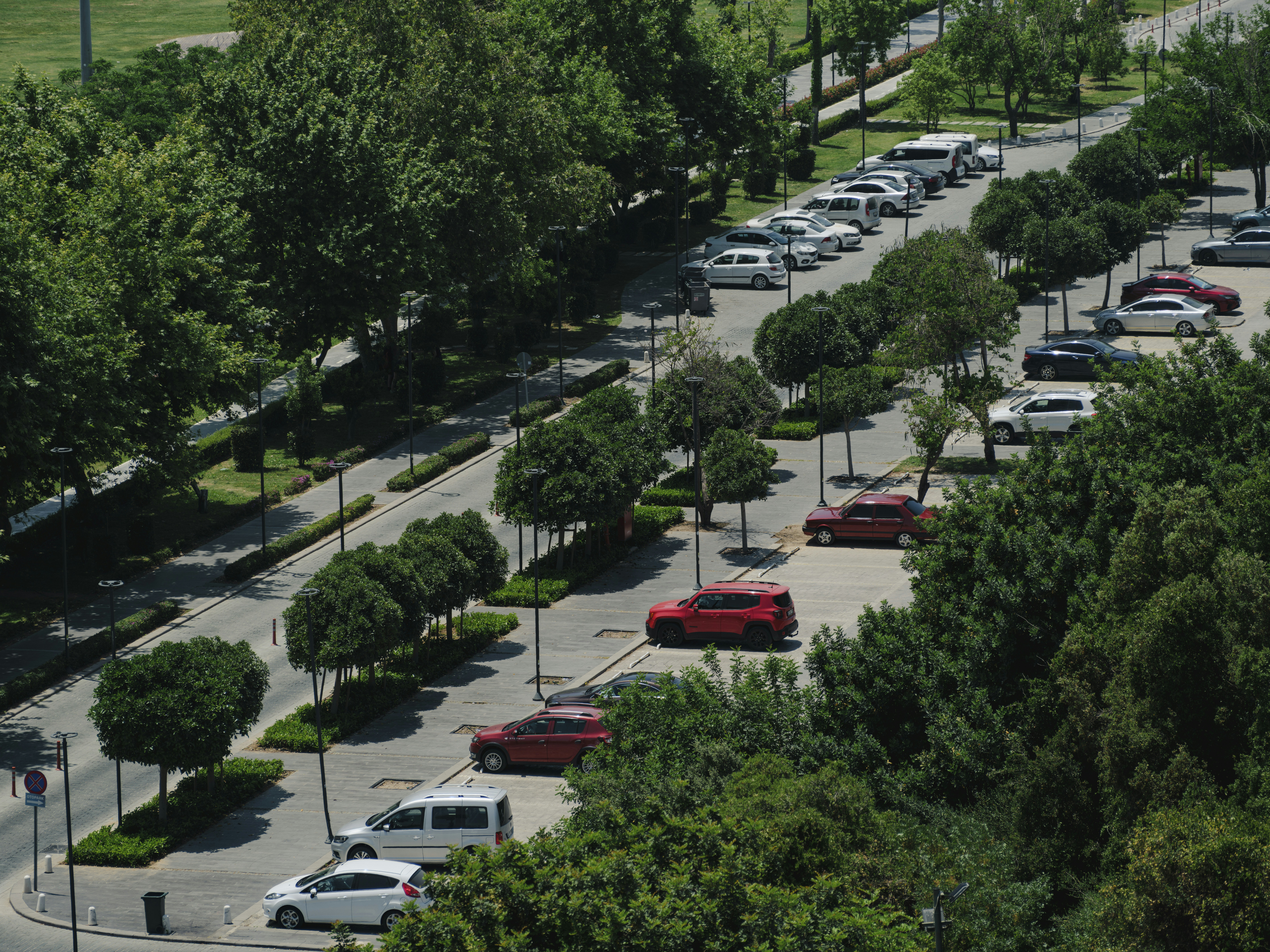 Leafy Avenues and Car Rows: An Aerial Street Scene