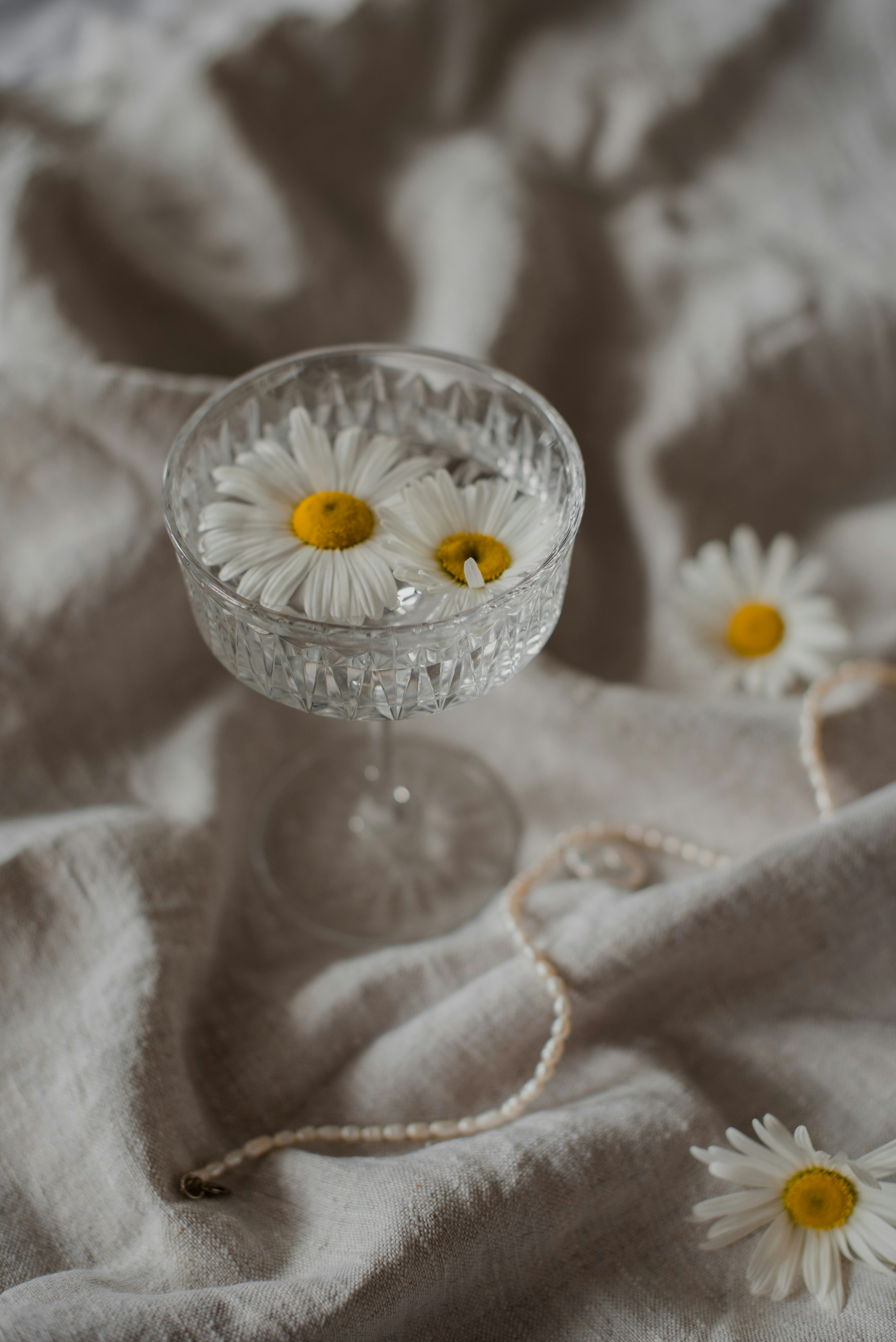 Daisy Glass: Delicate Blooms Floating in Crystal Elixir