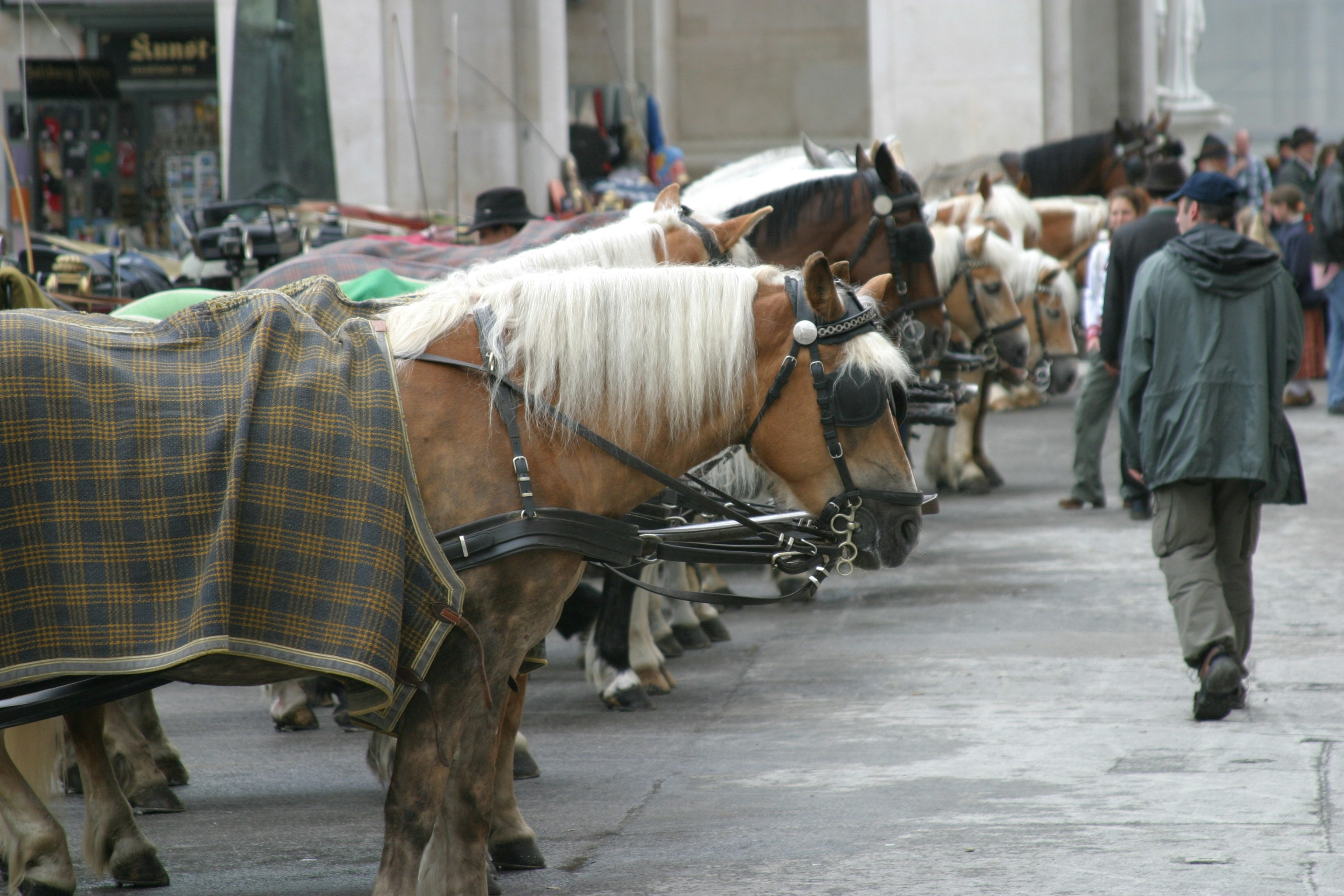 Horse and carriage, Salzburg, Austria 