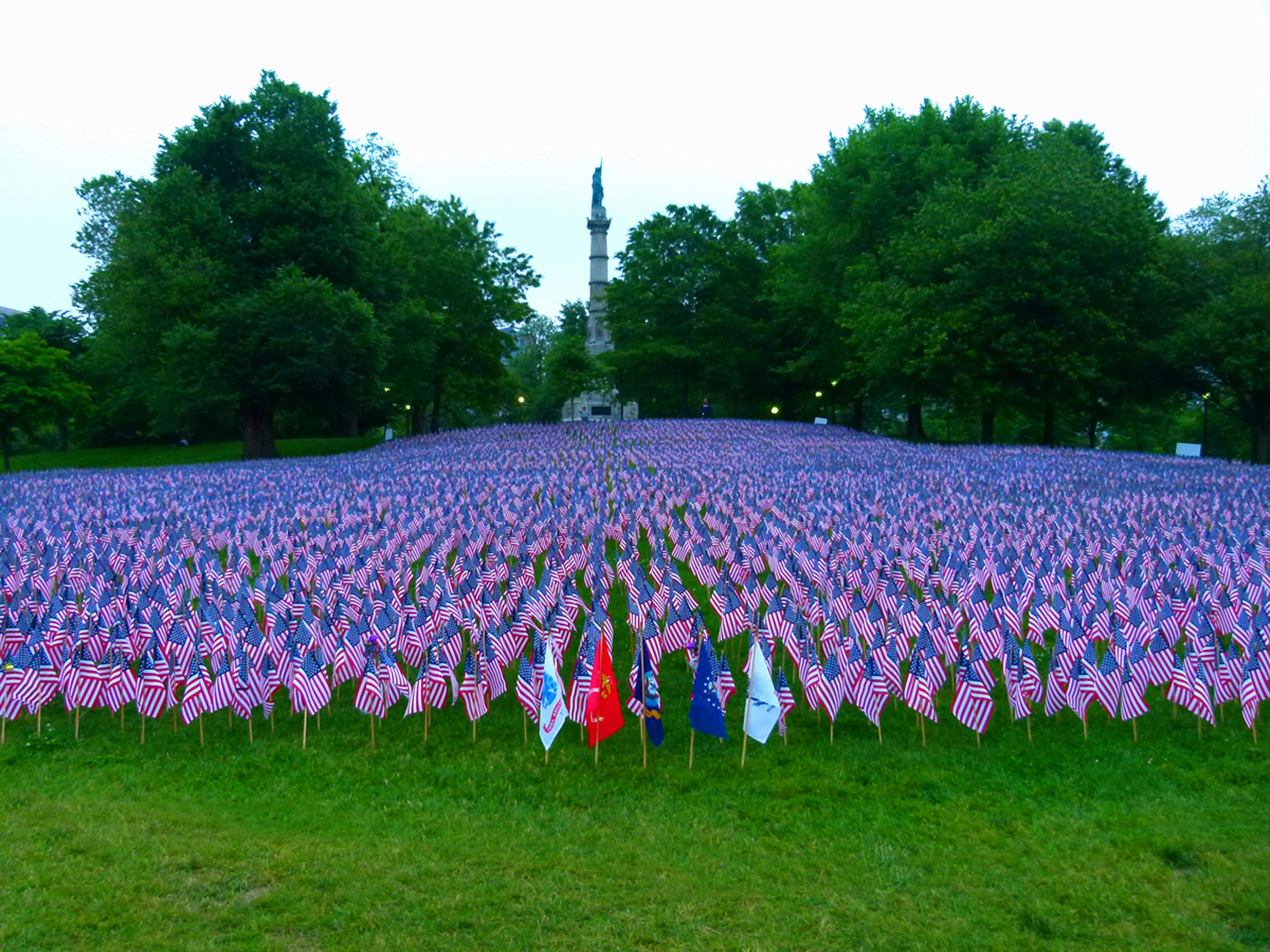 Rows of Flags Stretching Toward a Monumental Urn of Green