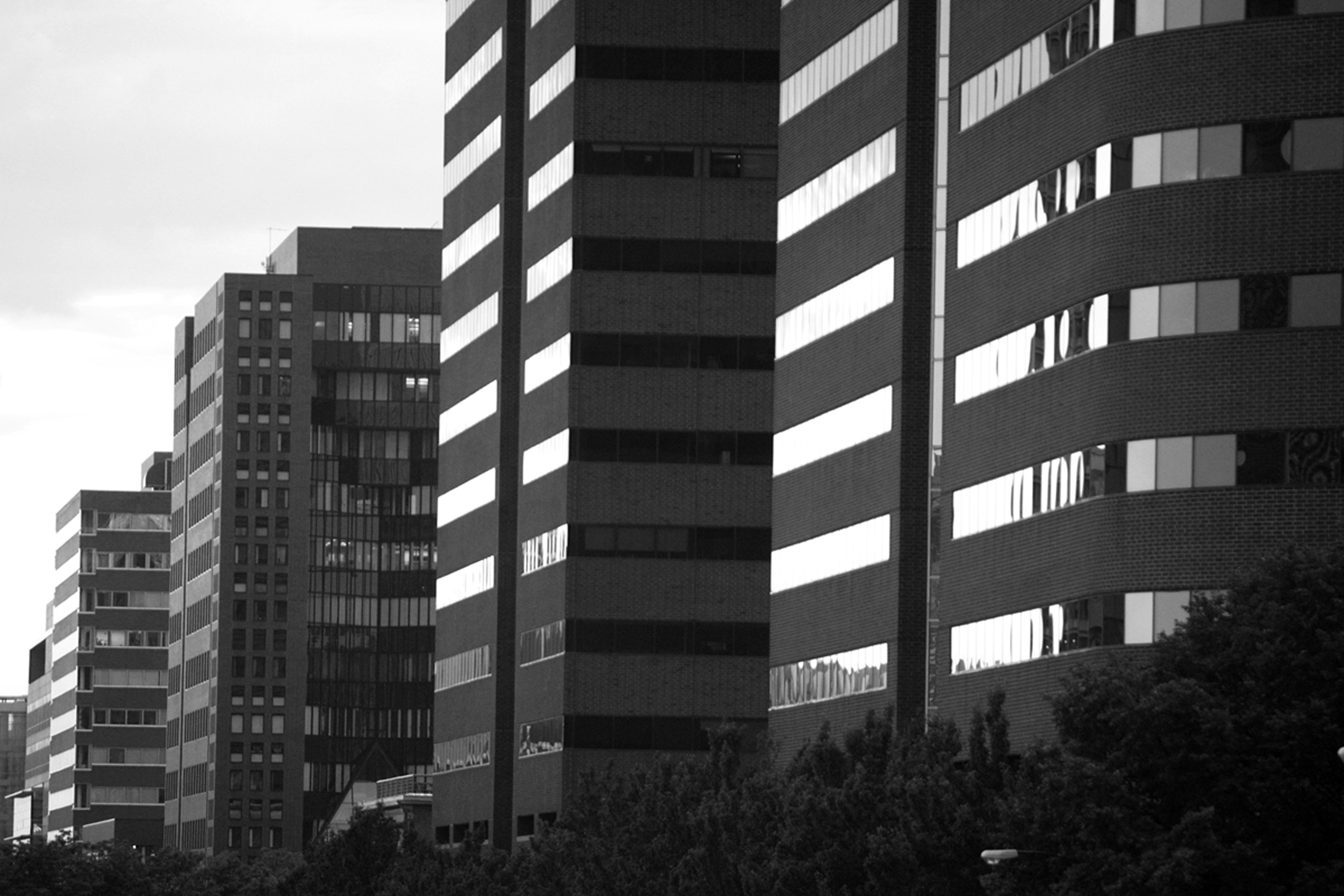 Foto Una foto en blanco y negro de edificios altos – Imagen Cambridge ...