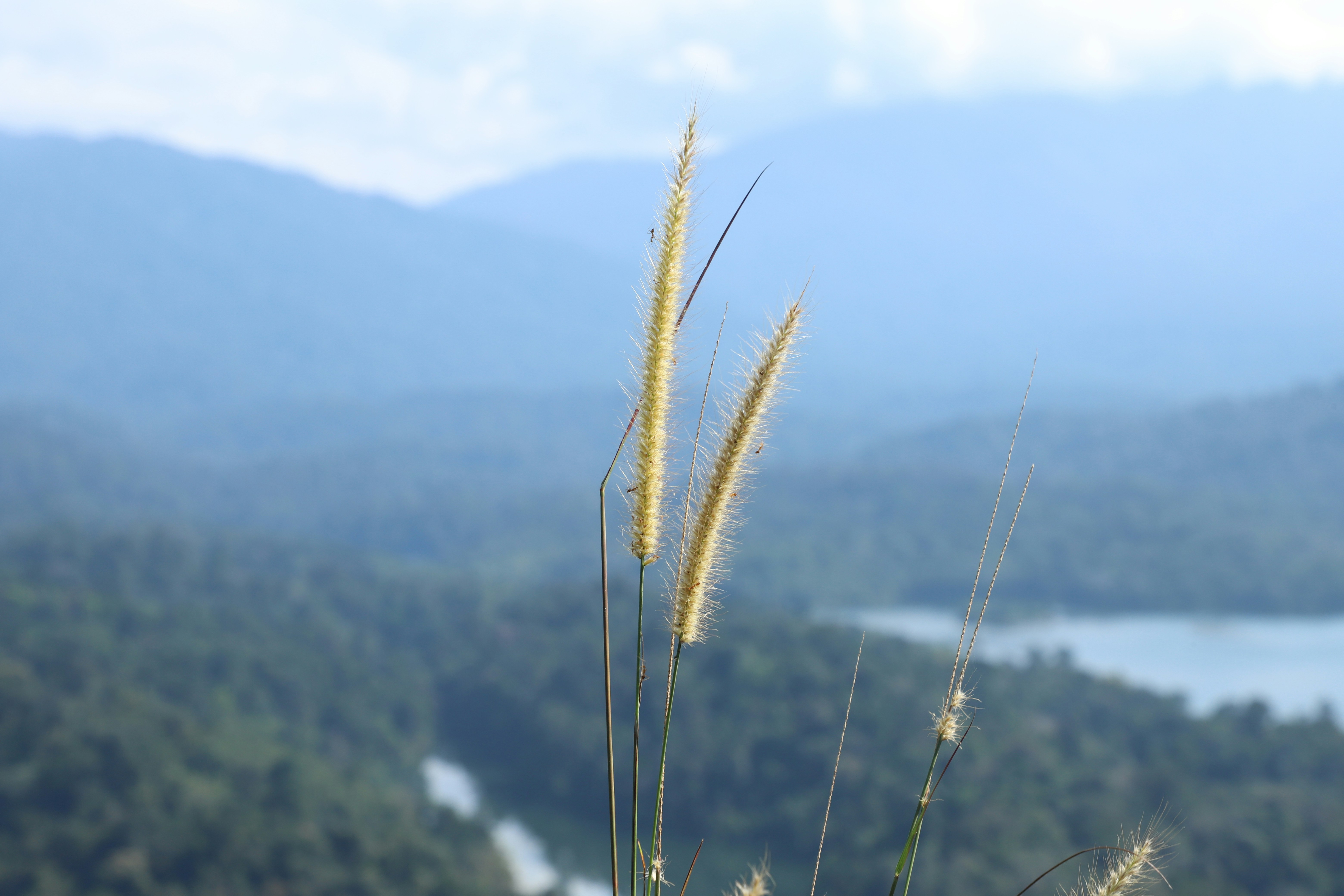 a view of a body of water from a hill