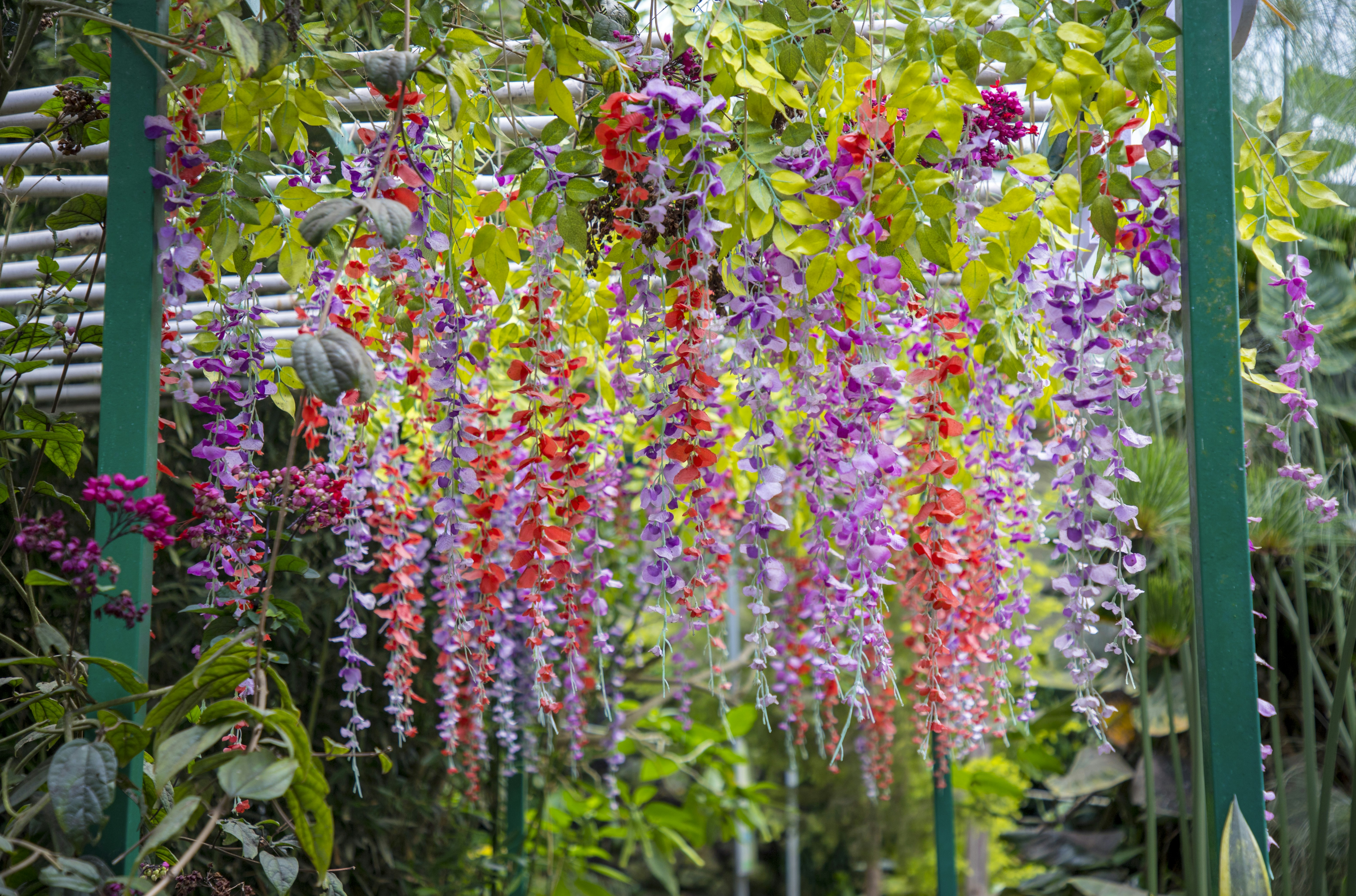 a bunch of flowers that are hanging in the air