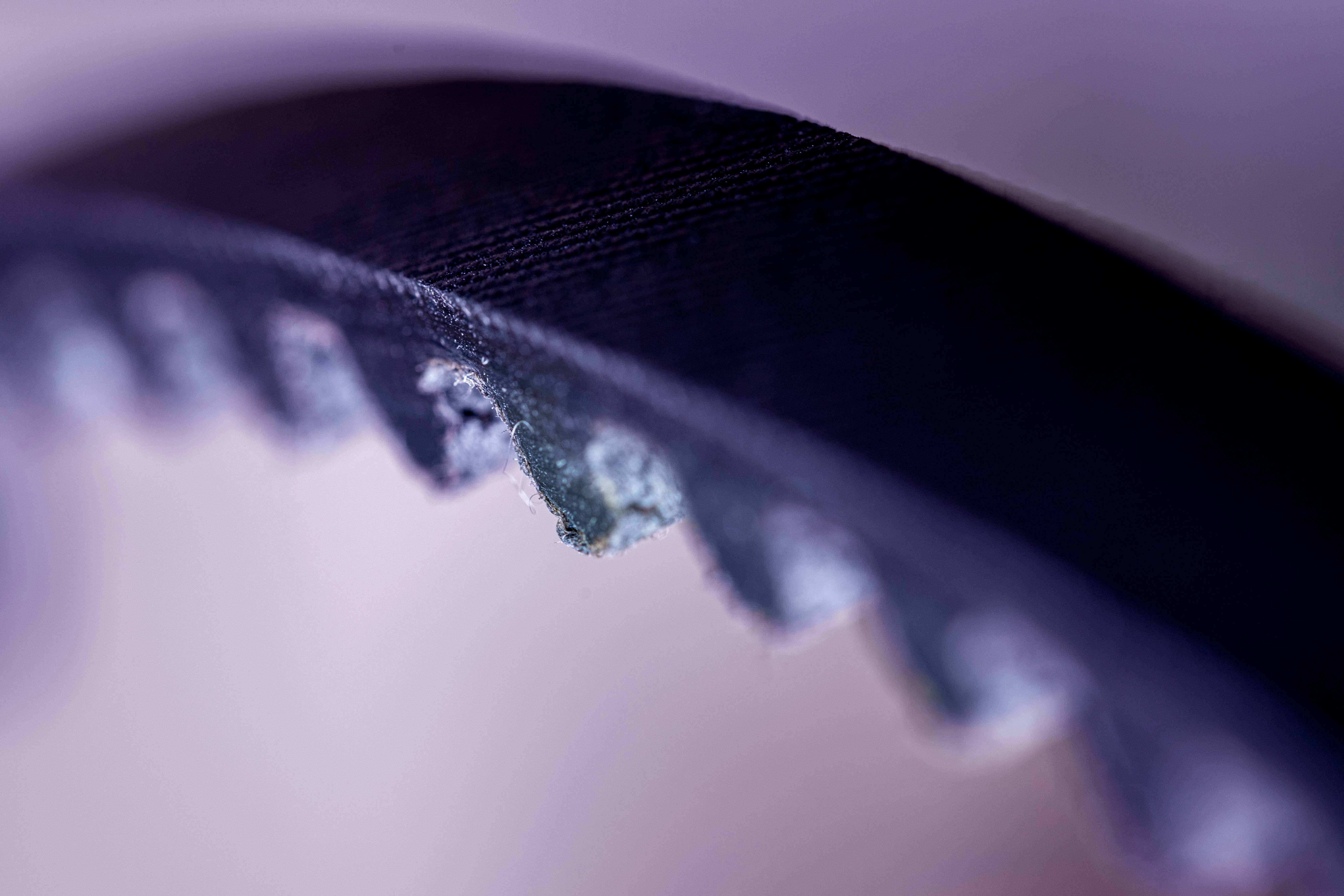 Macro Edge: A Close-Up of a Serrated Craft on Purple Hue
