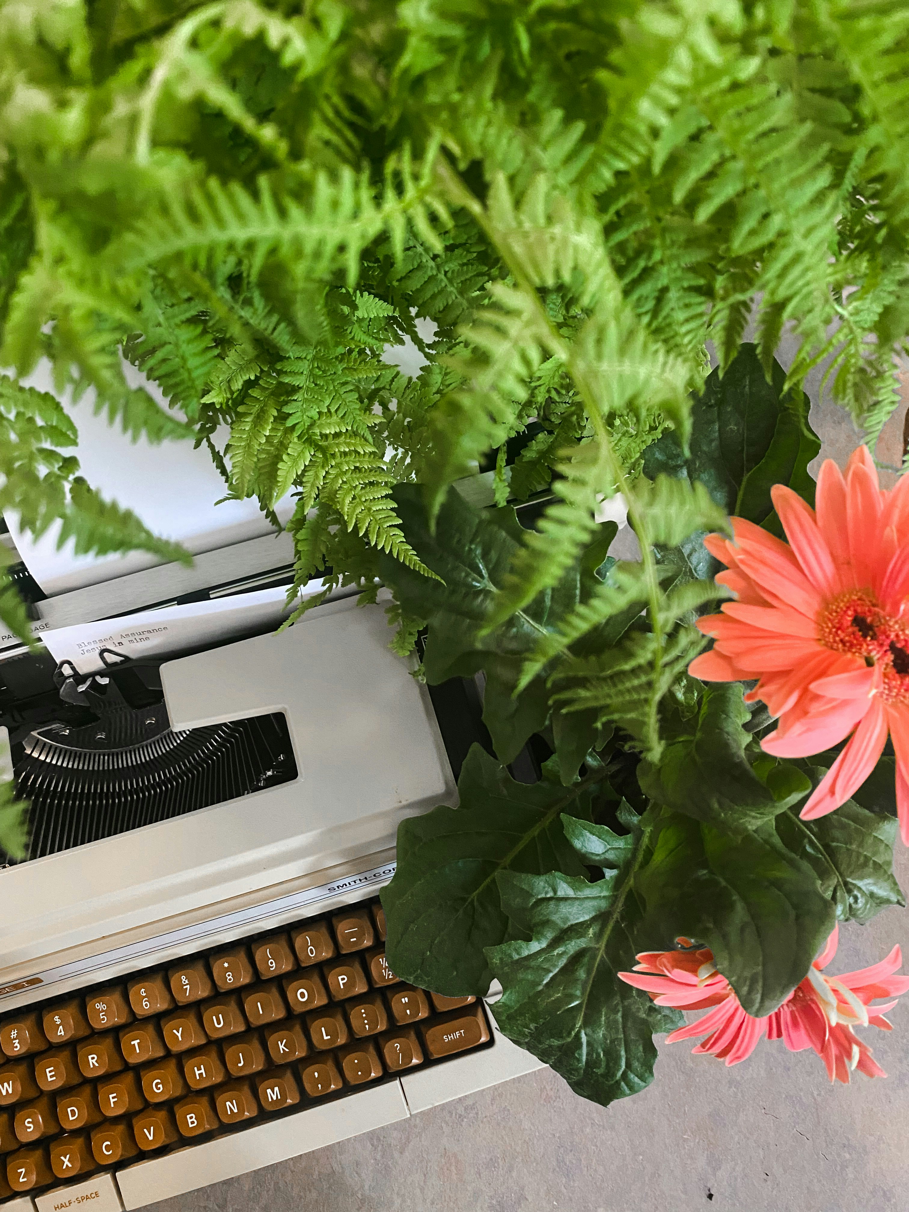 Verdant Fern Framing a Vintage Typewriter with Coral Flowers