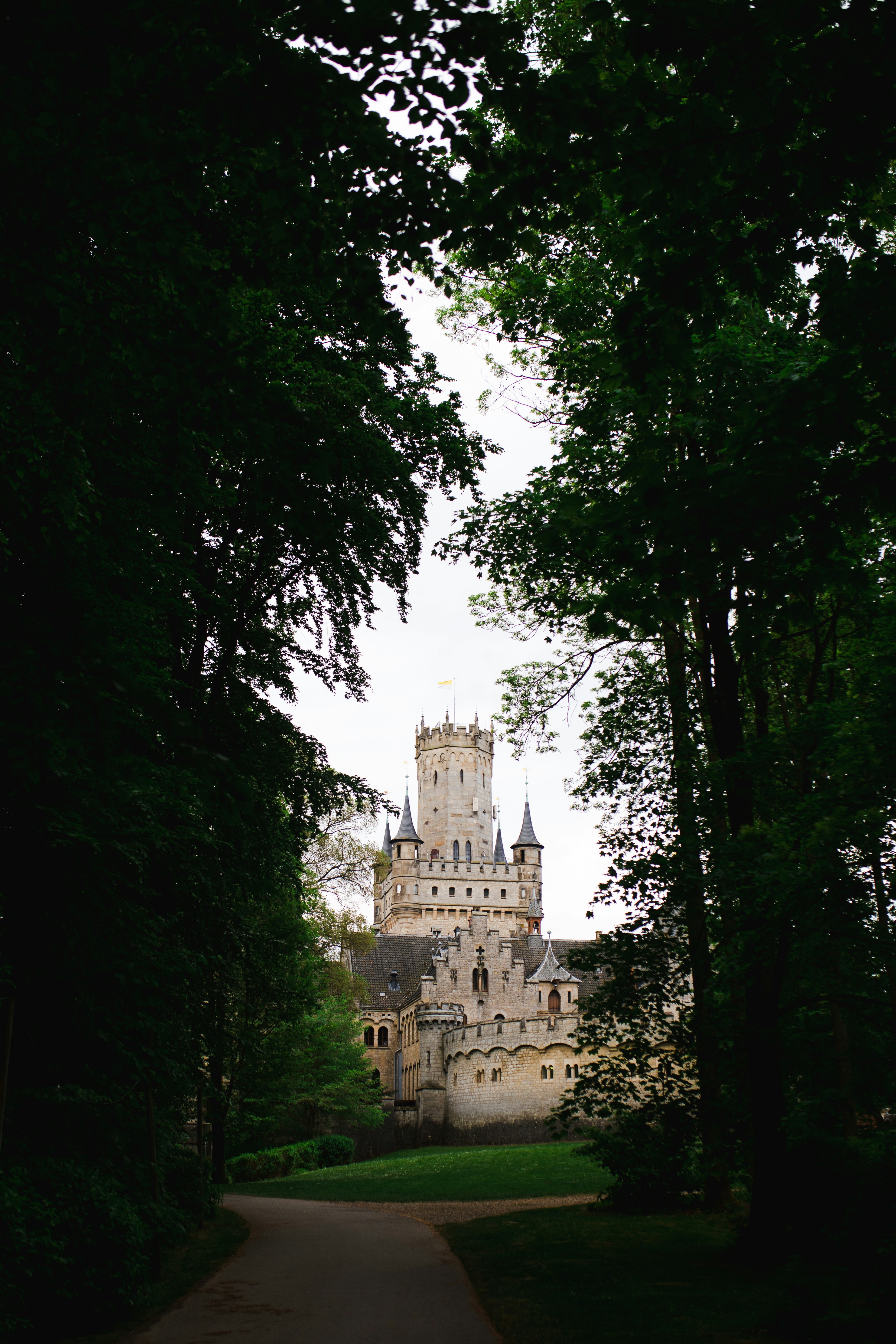A medieval castle emerges through a lush canopy of trees, hinting at stories untold. The path invites exploration toward the majestic structure.