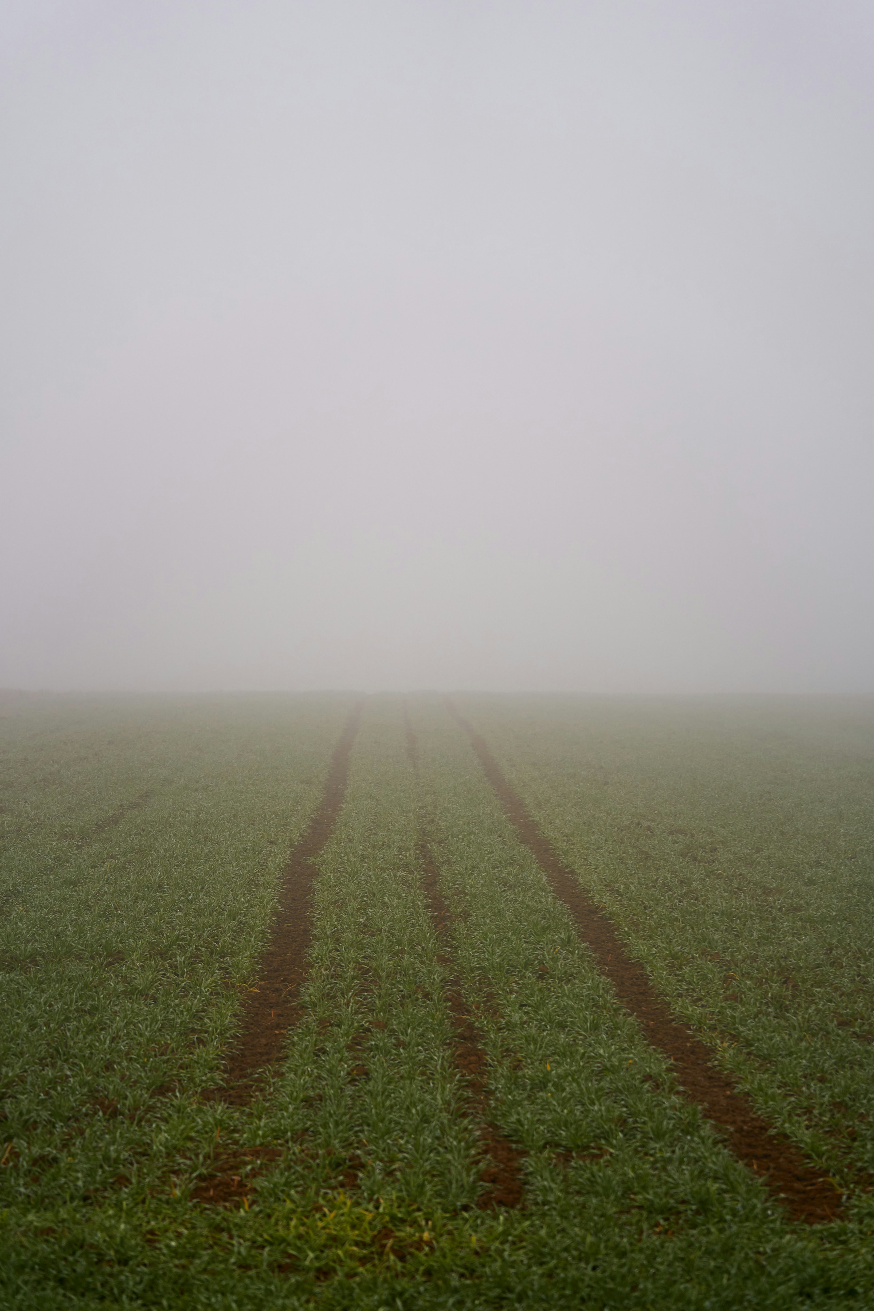 Misty Horizon Over Parallel Tractor Trails