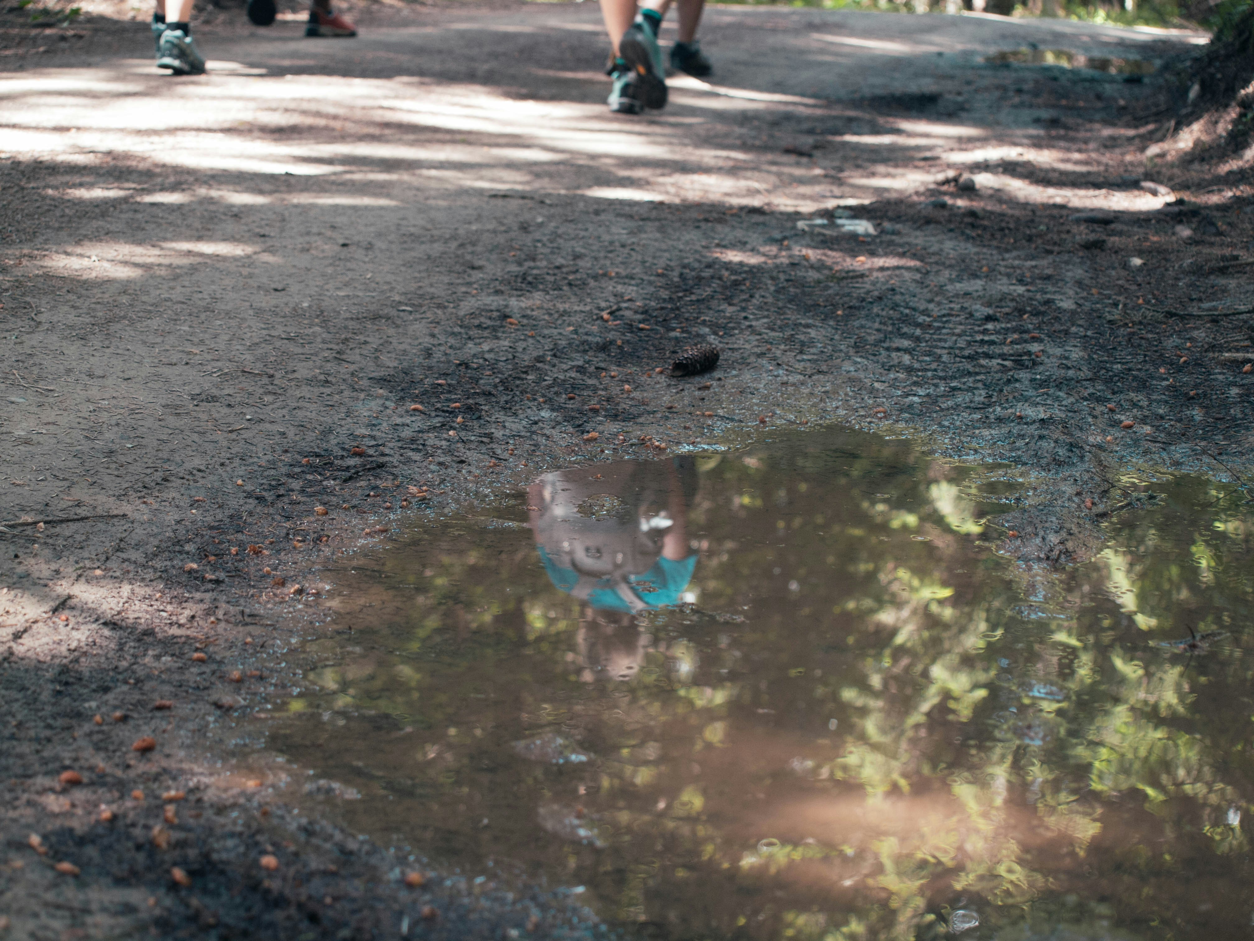 Hikers' legs reflected in a puddle on a sunlit forest path.
