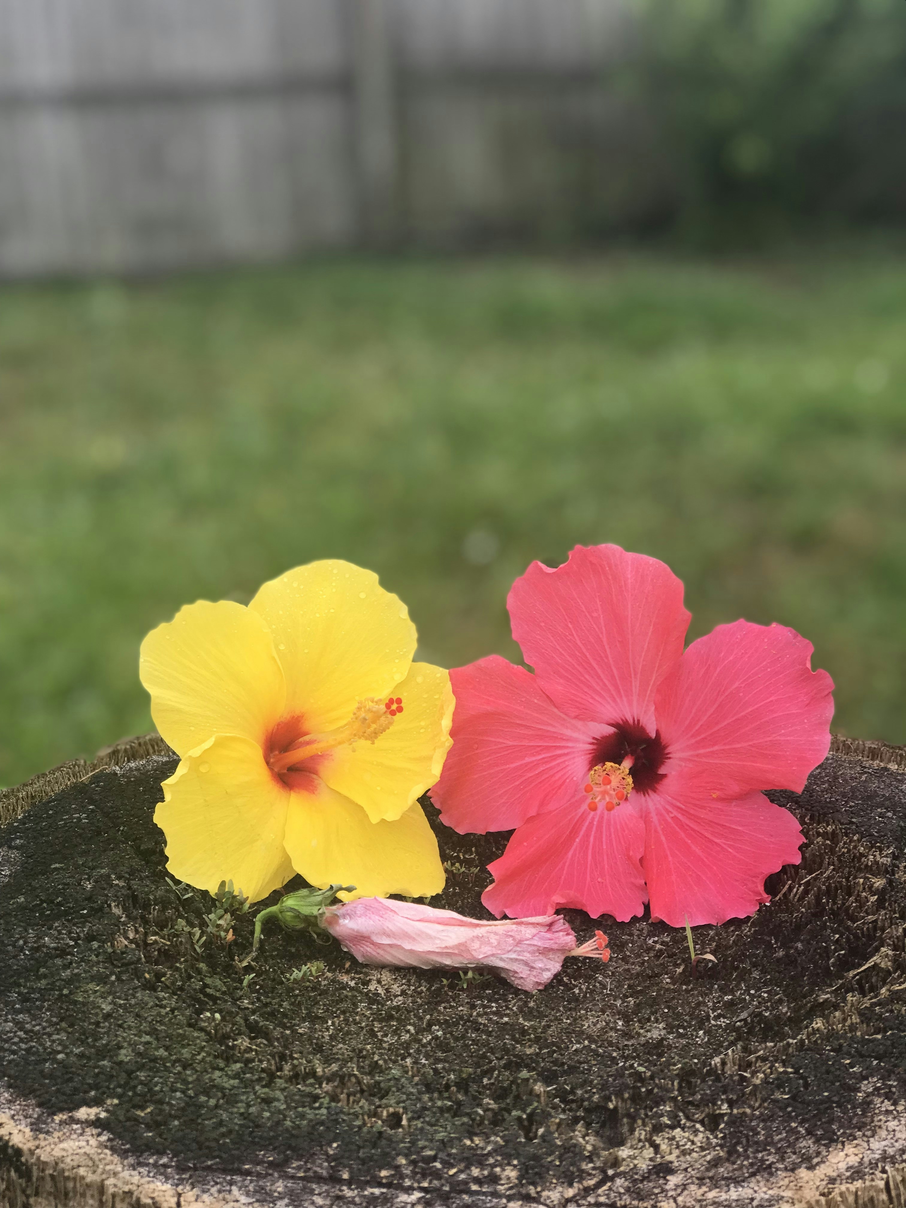 Jerry Seamster (@solodragon) | Comunidade de fotos da Unsplash