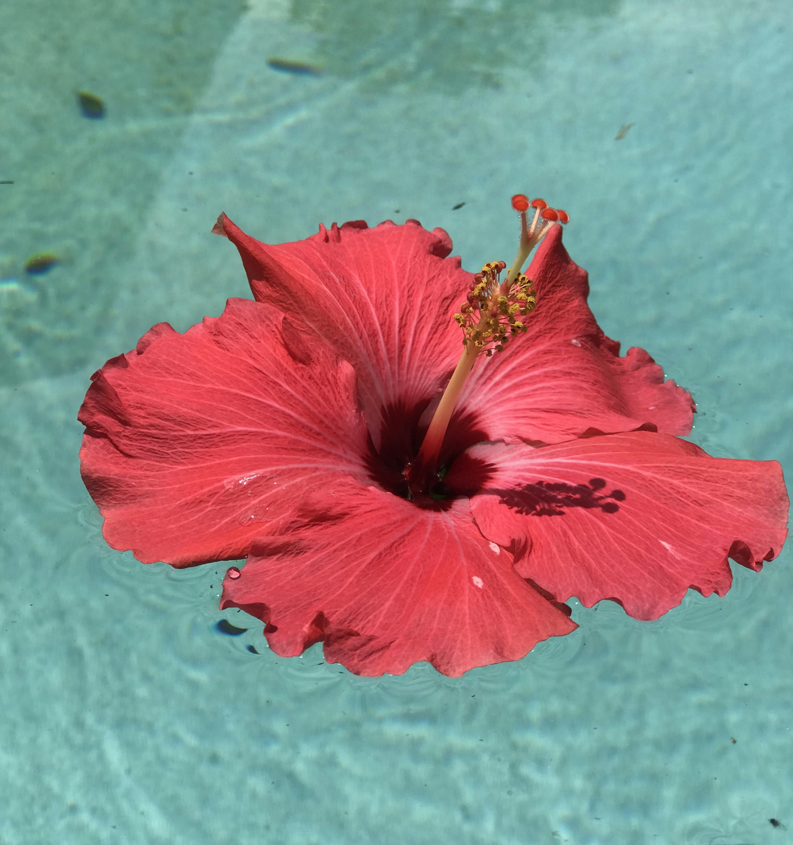 Jerry Seamster (@solodragon) | Comunidade de fotos da Unsplash