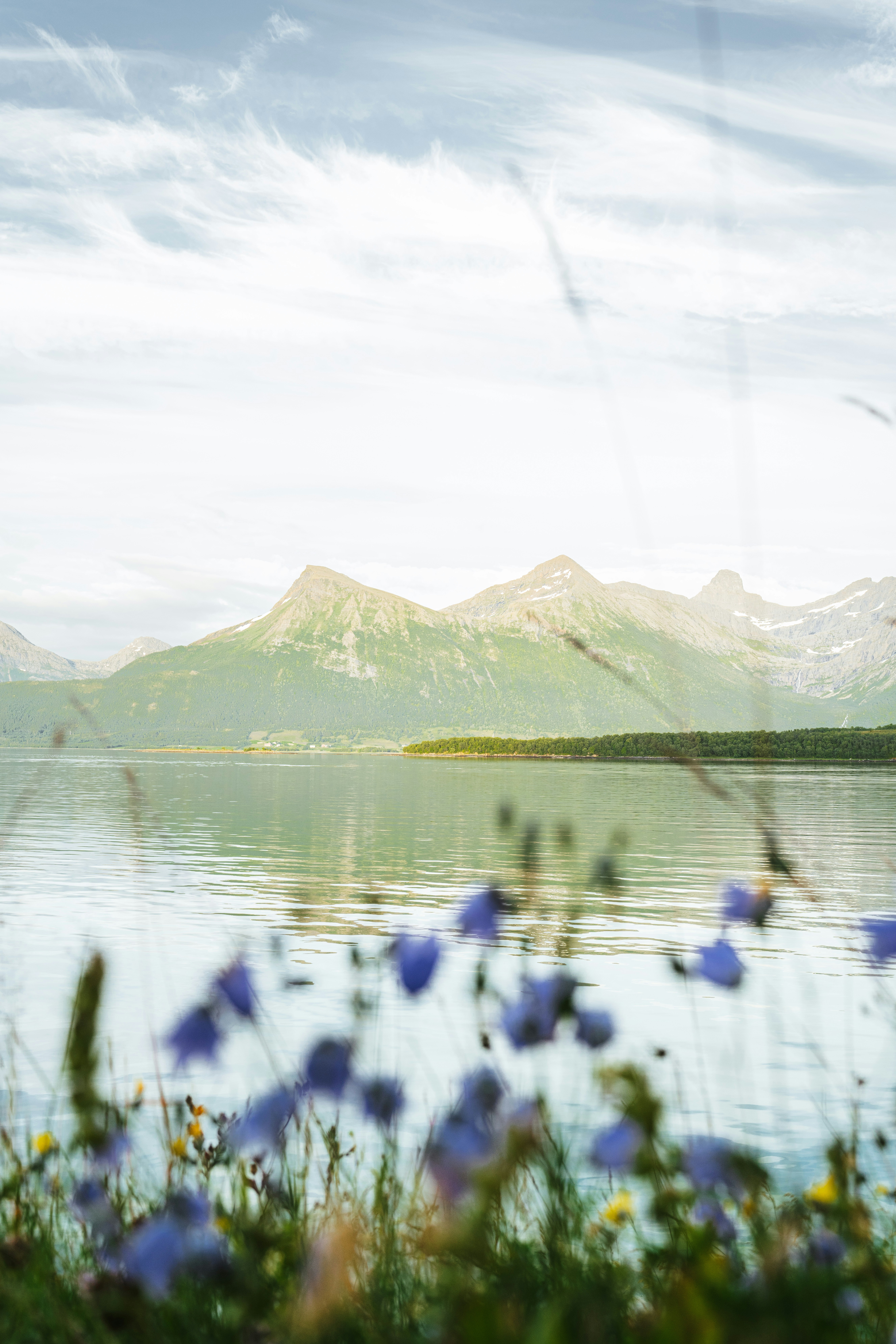 Misty Alps Over a Quiet Lake with Wildflowers