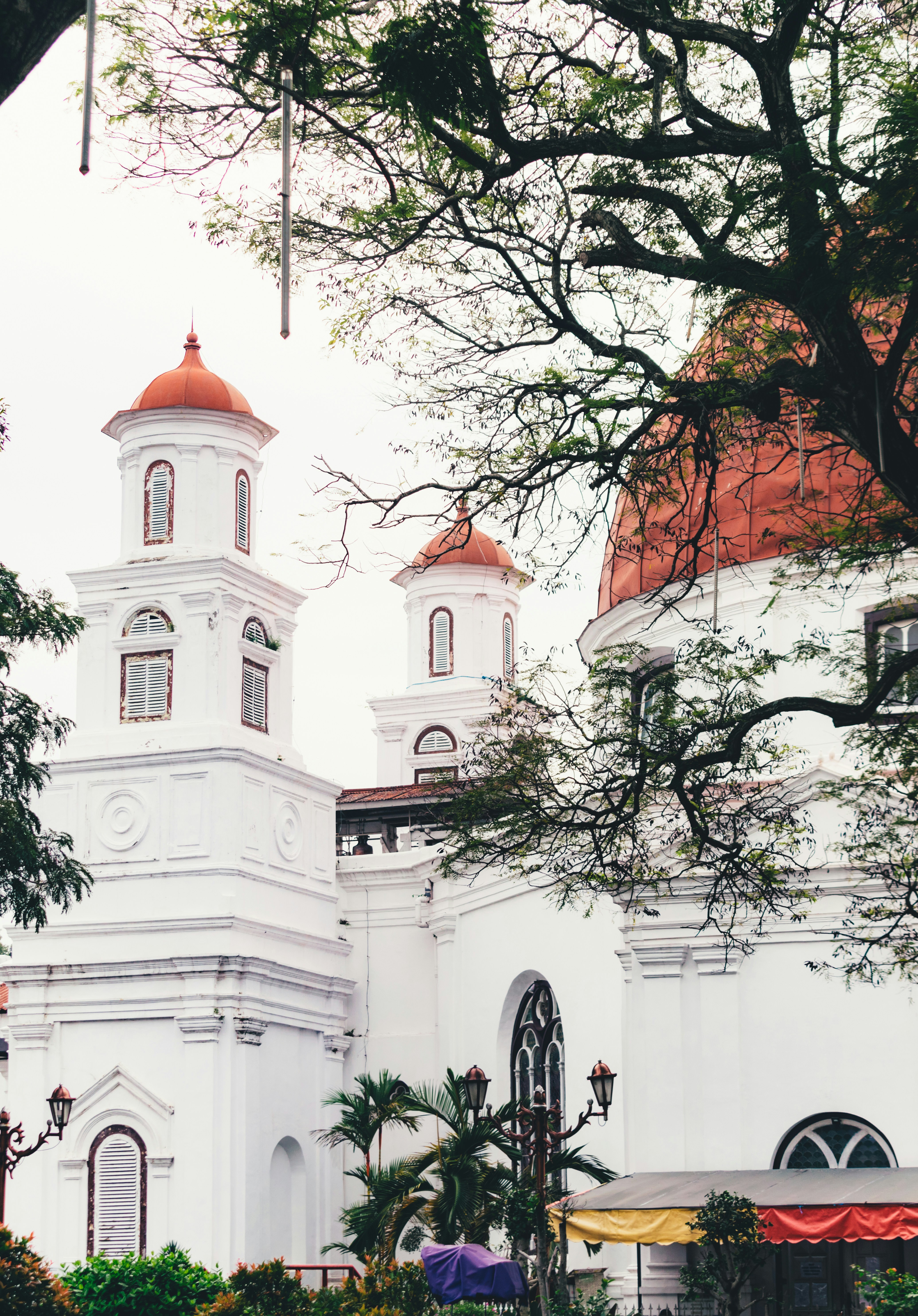 Crimson Domes Against White Facades, Framed by a Leafy Canopy