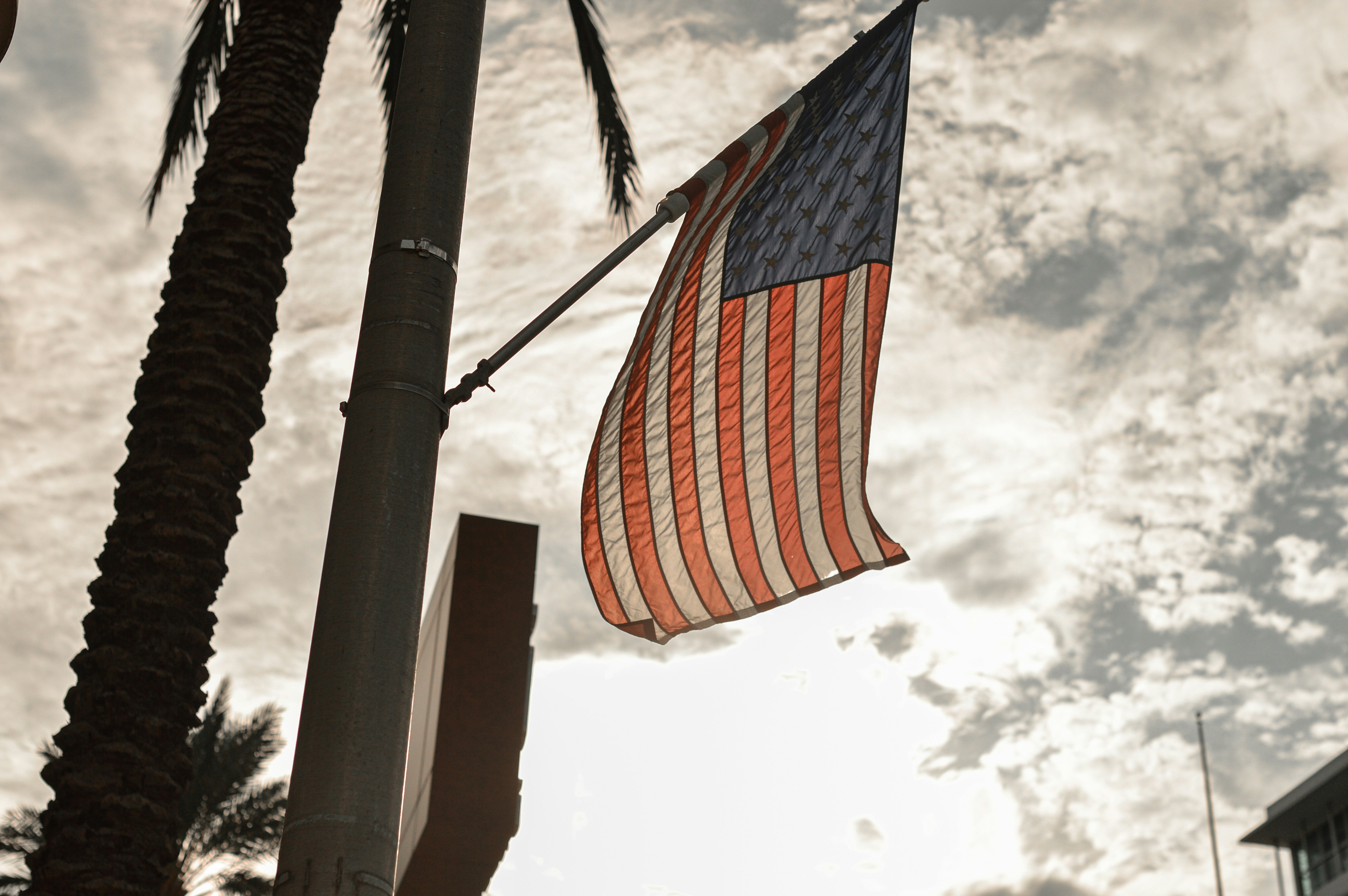 Stars and Stripes in a Palm-Frame Street Scene