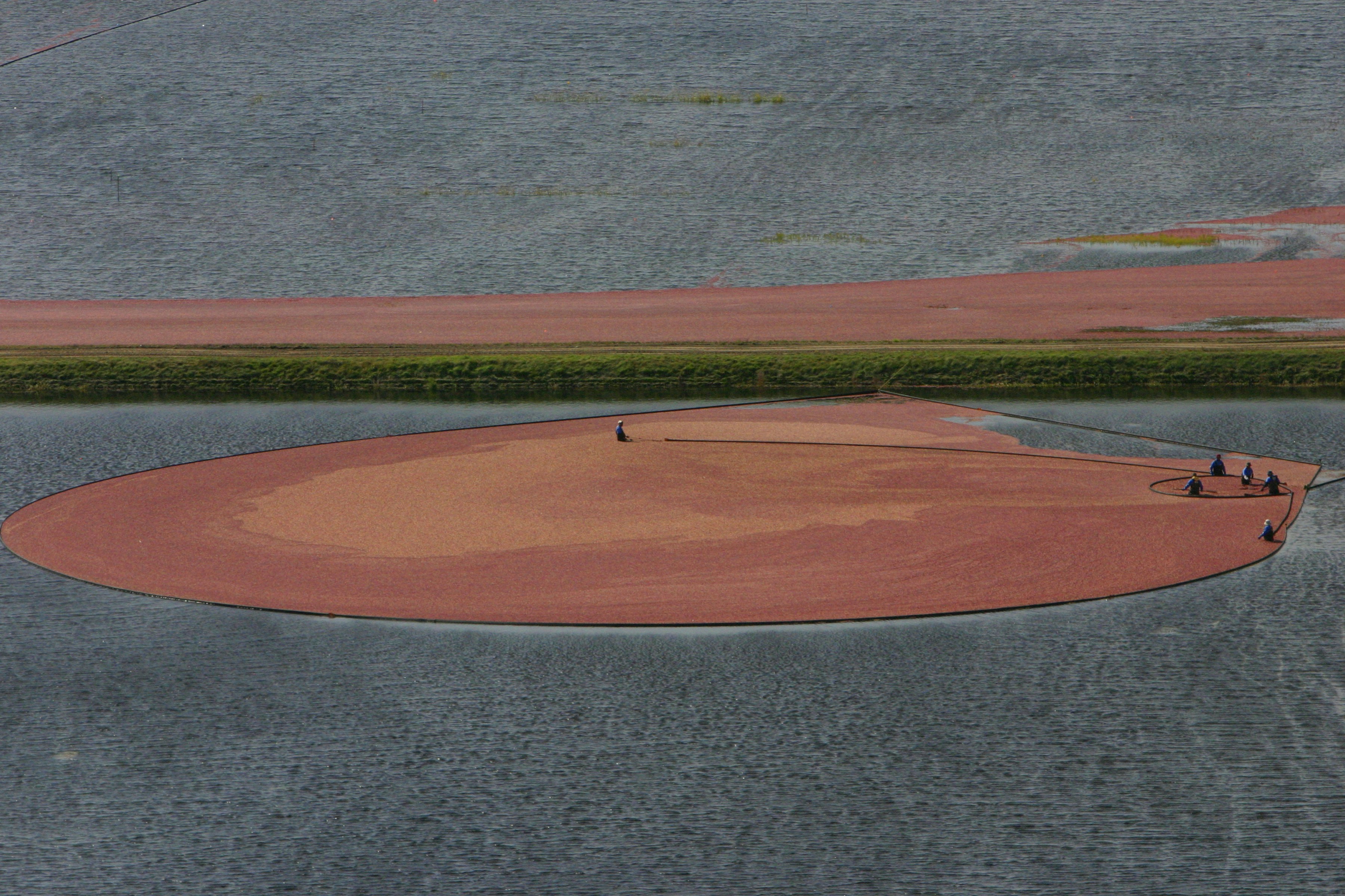 A baseball field in the middle of a lake photo – Free Wareham Image on ...