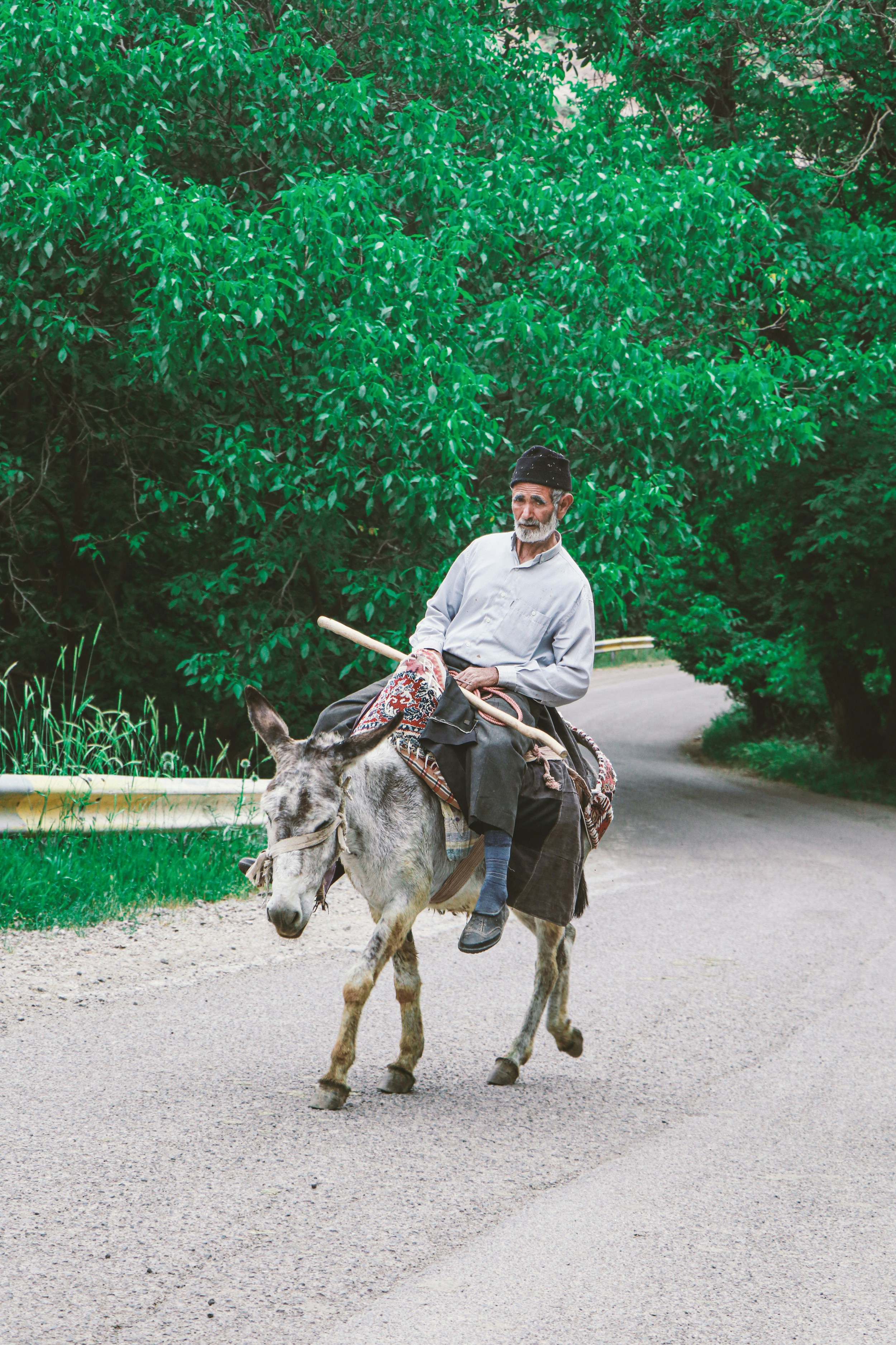 Foto Un hombre montado en la parte posterior de un burro por un camino ...