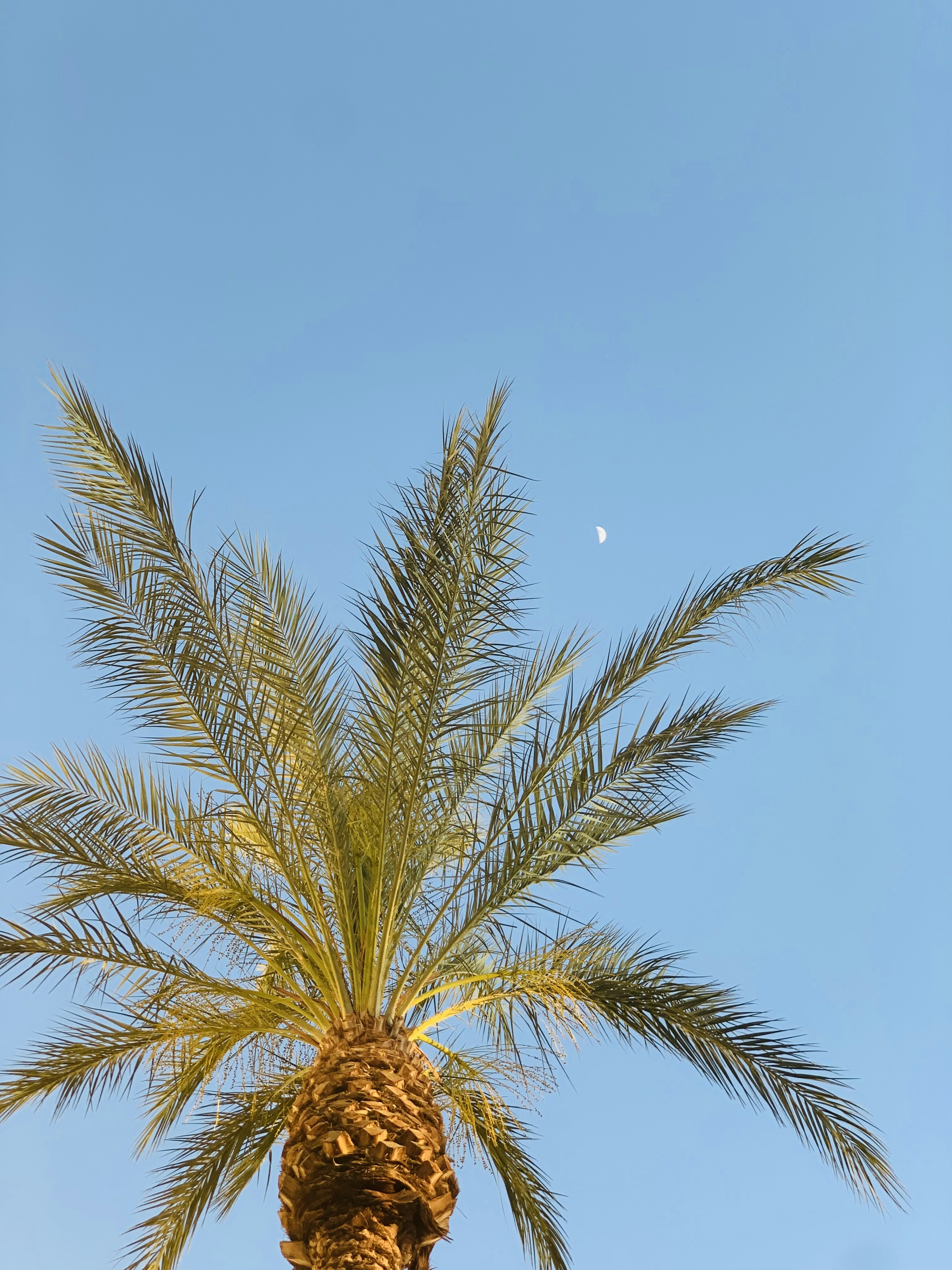 Mattie Law (@mattiel211) | Unsplash Photo Community