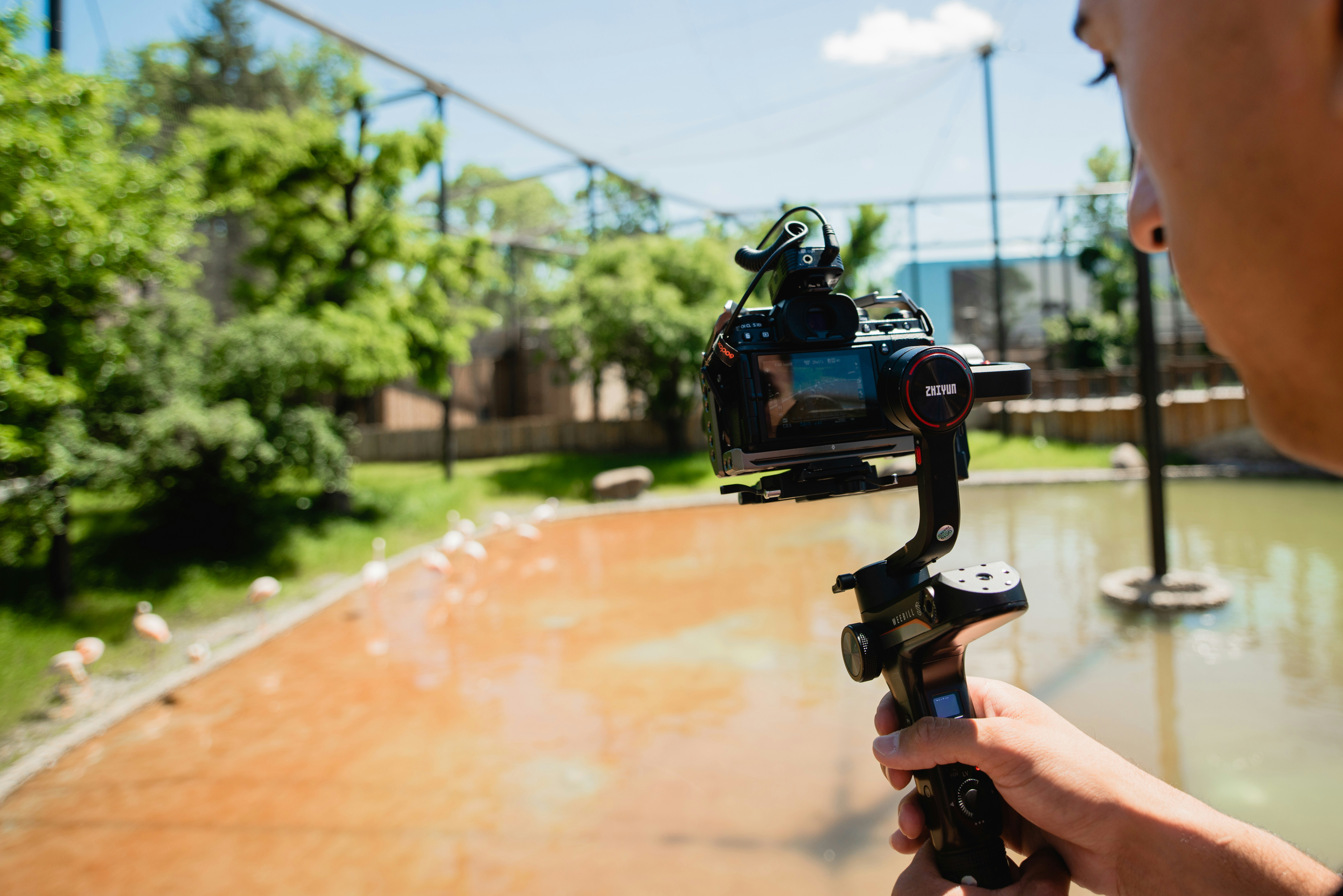 A person holding up a ramp photo – Free Person Image on Unsplash
