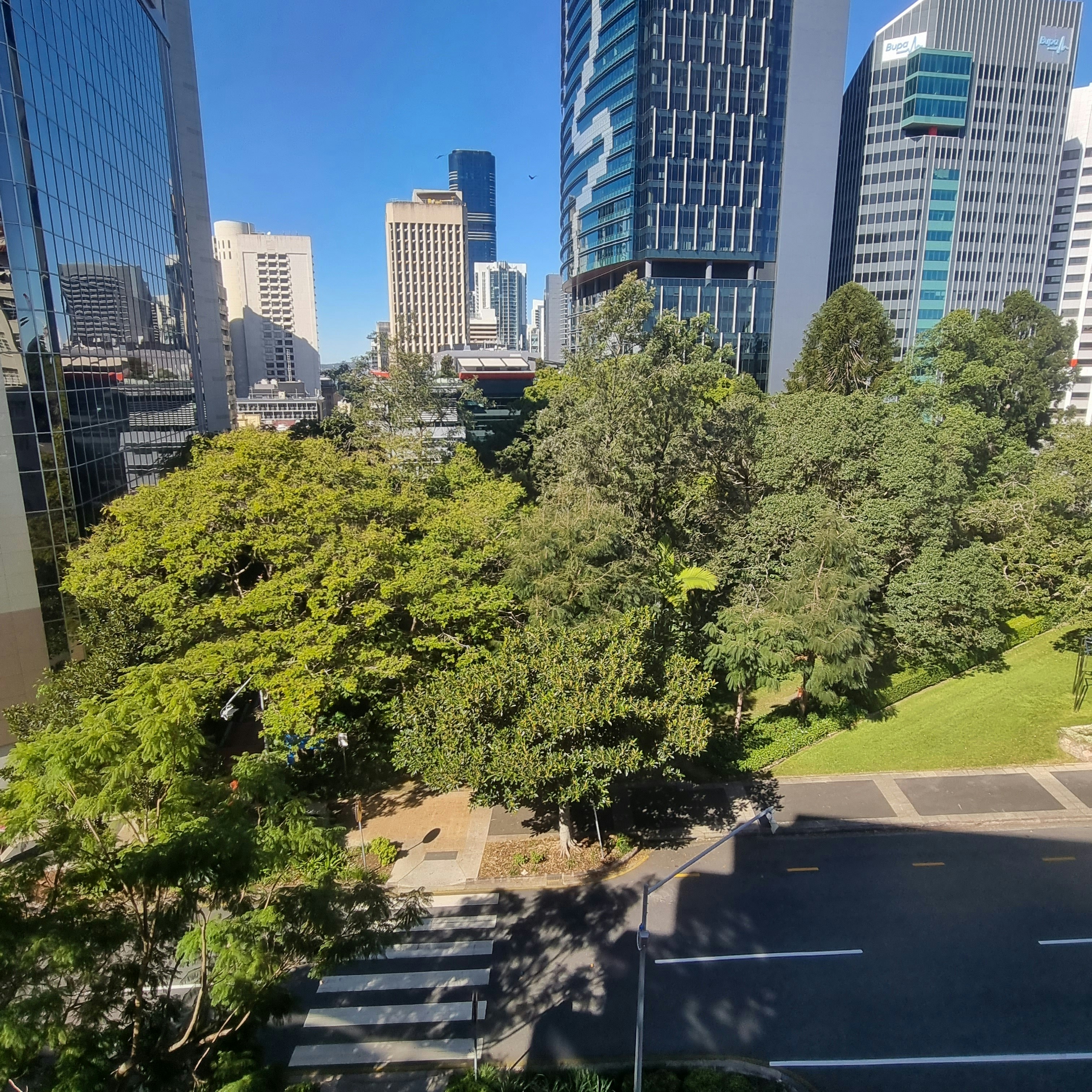 Lush greenery contrasts with towering skyscrapers in a vibrant urban landscape. The scene highlights the harmonious blend of nature and modern architecture.