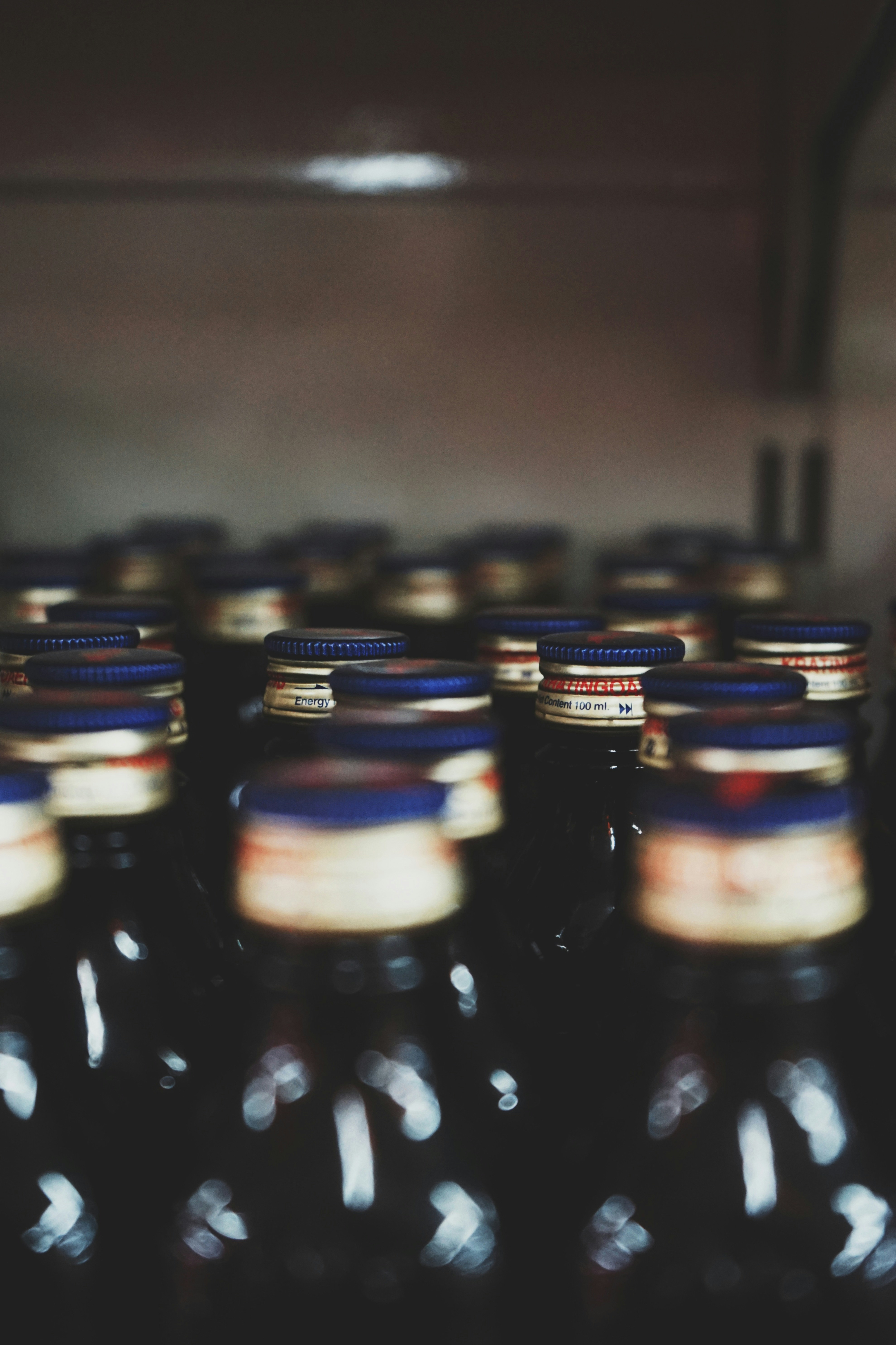 Photo by Judah Wester with Sony Alpha 7 II