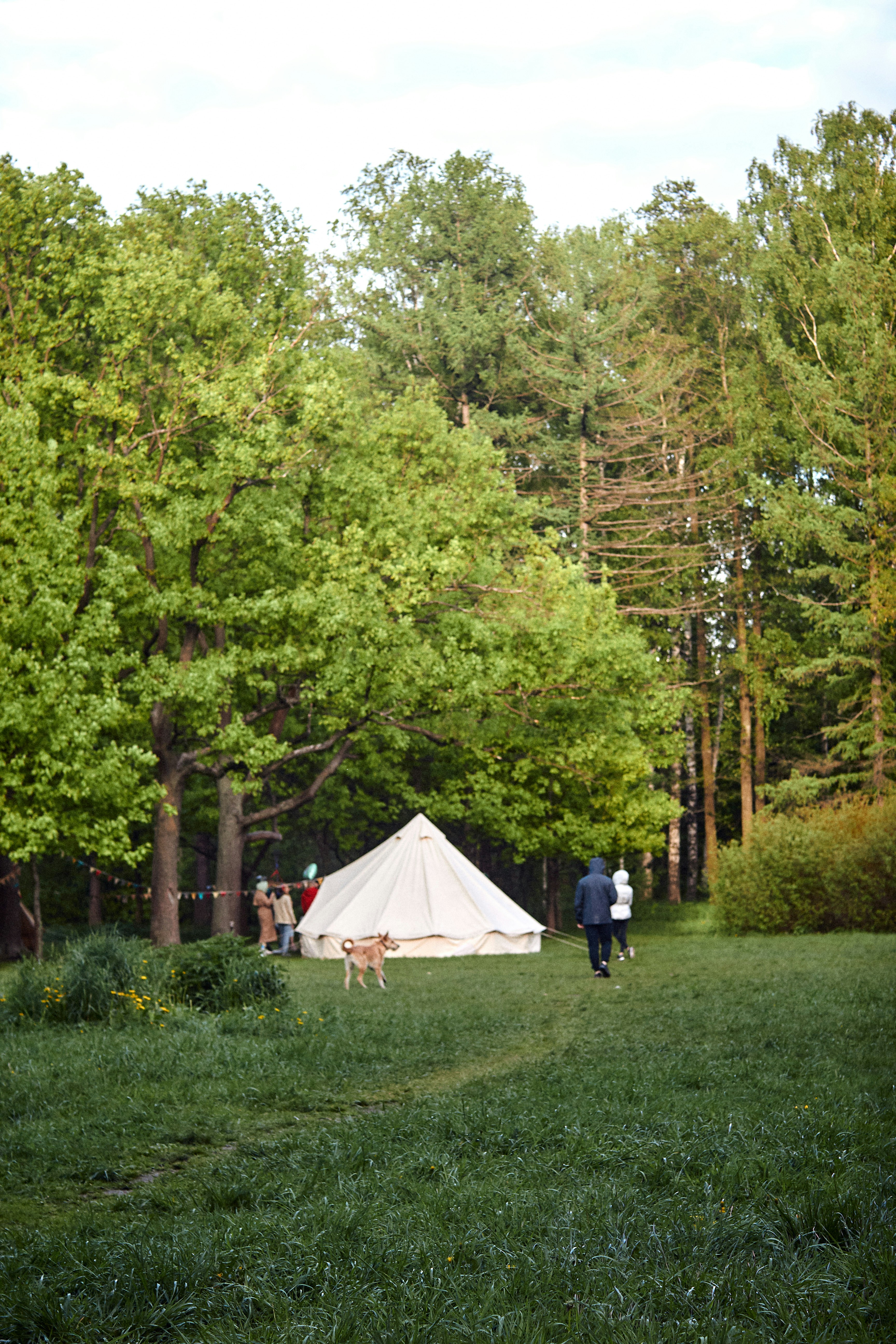 a group of people standing next to a tent in a forest