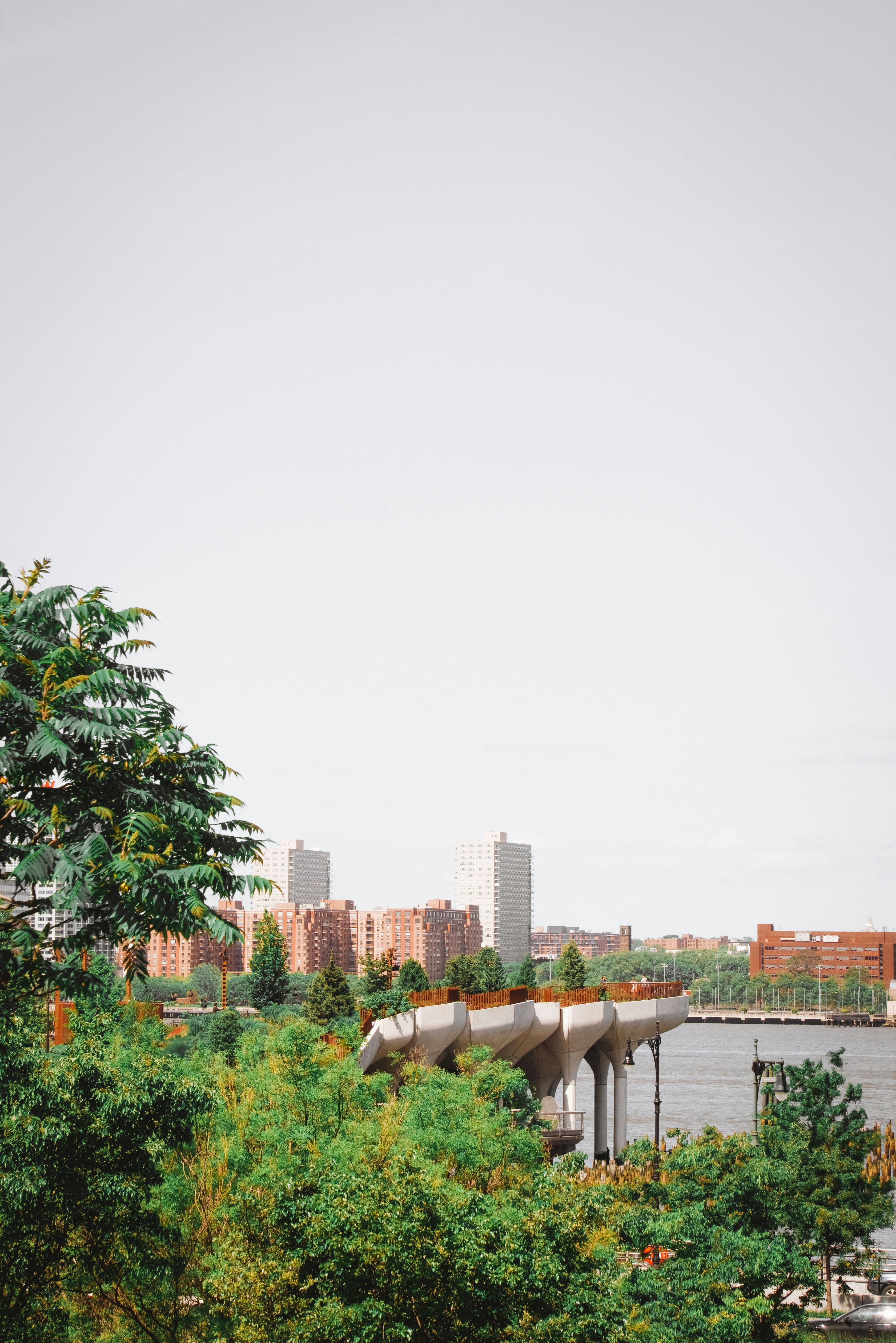 Riverside Overpass Amid Urban Green