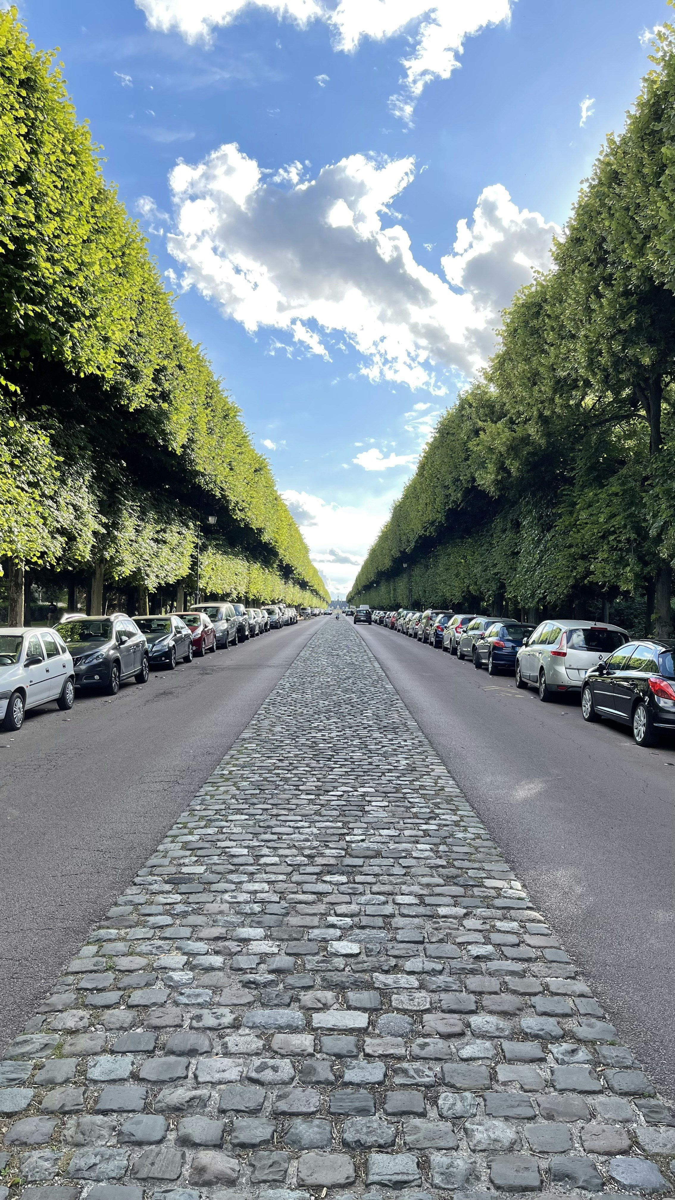 Tree-lined avenue flanked by parked cars, leading towards a bright sky with scattered clouds. Cobblestone path runs through the center.