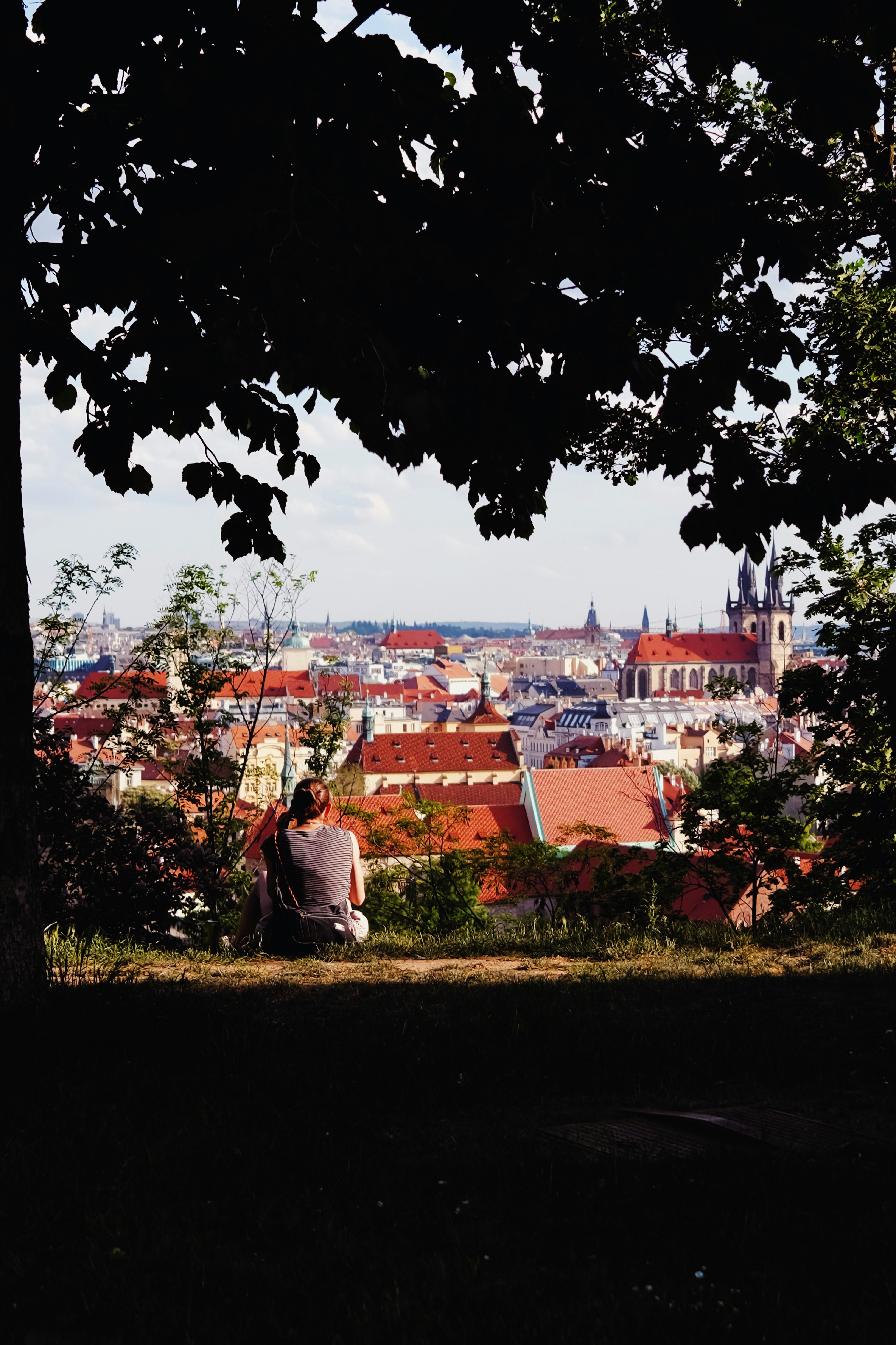 Leaf-Shadow Overlook: A City of Red Roofs Unfolds