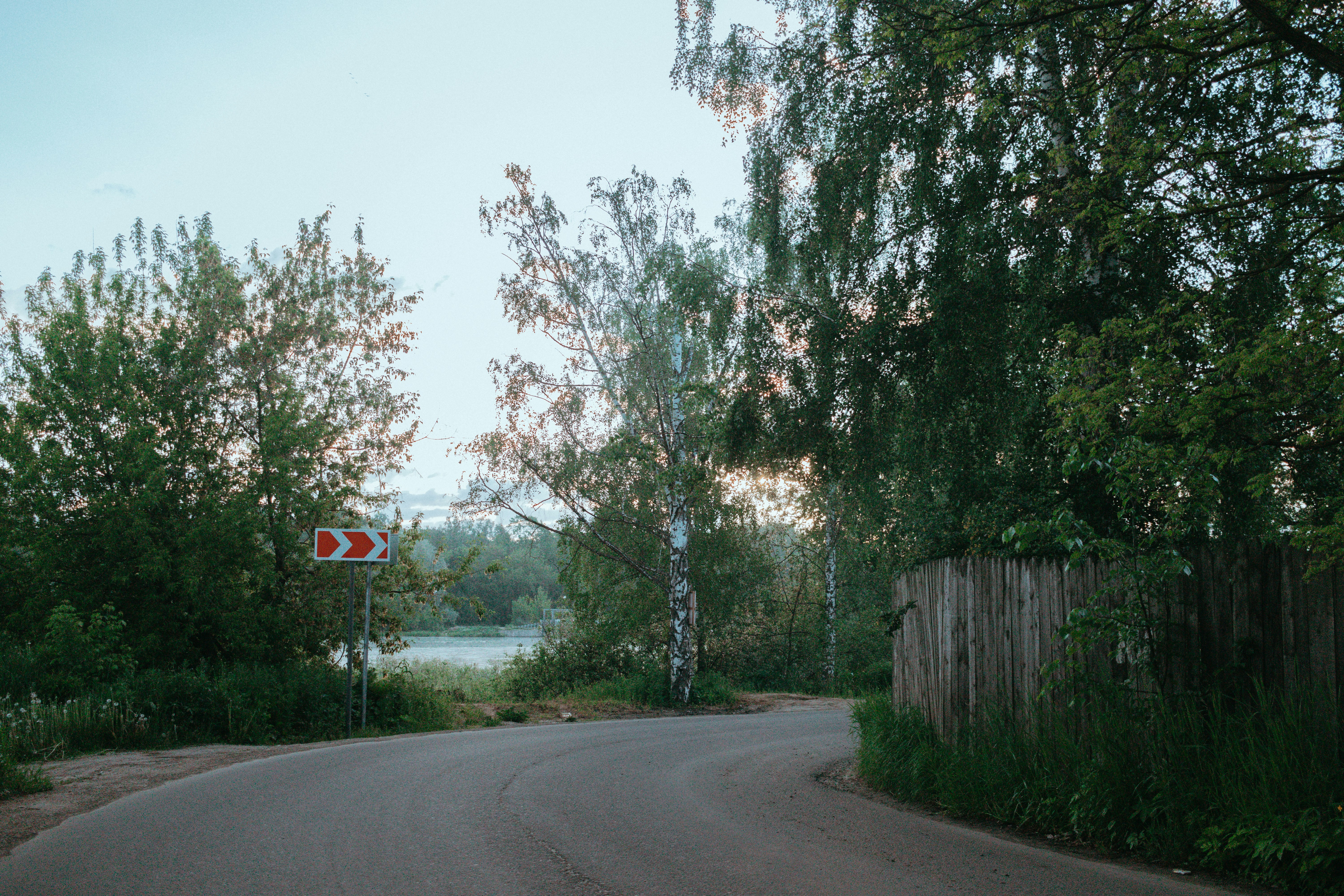 A street sign on the side of a road photo – Free Grey Image on Unsplash